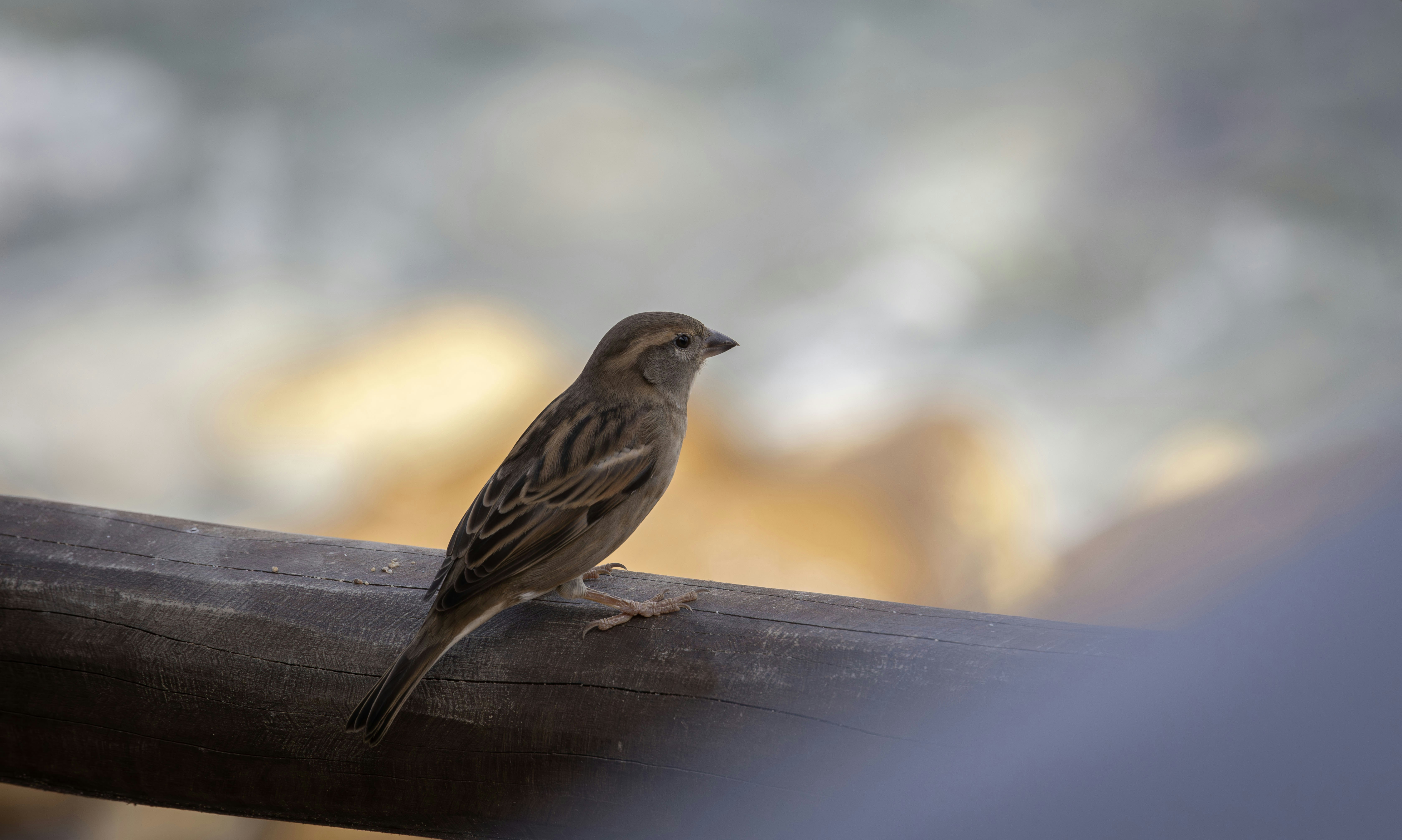 Photo by Alfonso Betancourt with Canon EOS R