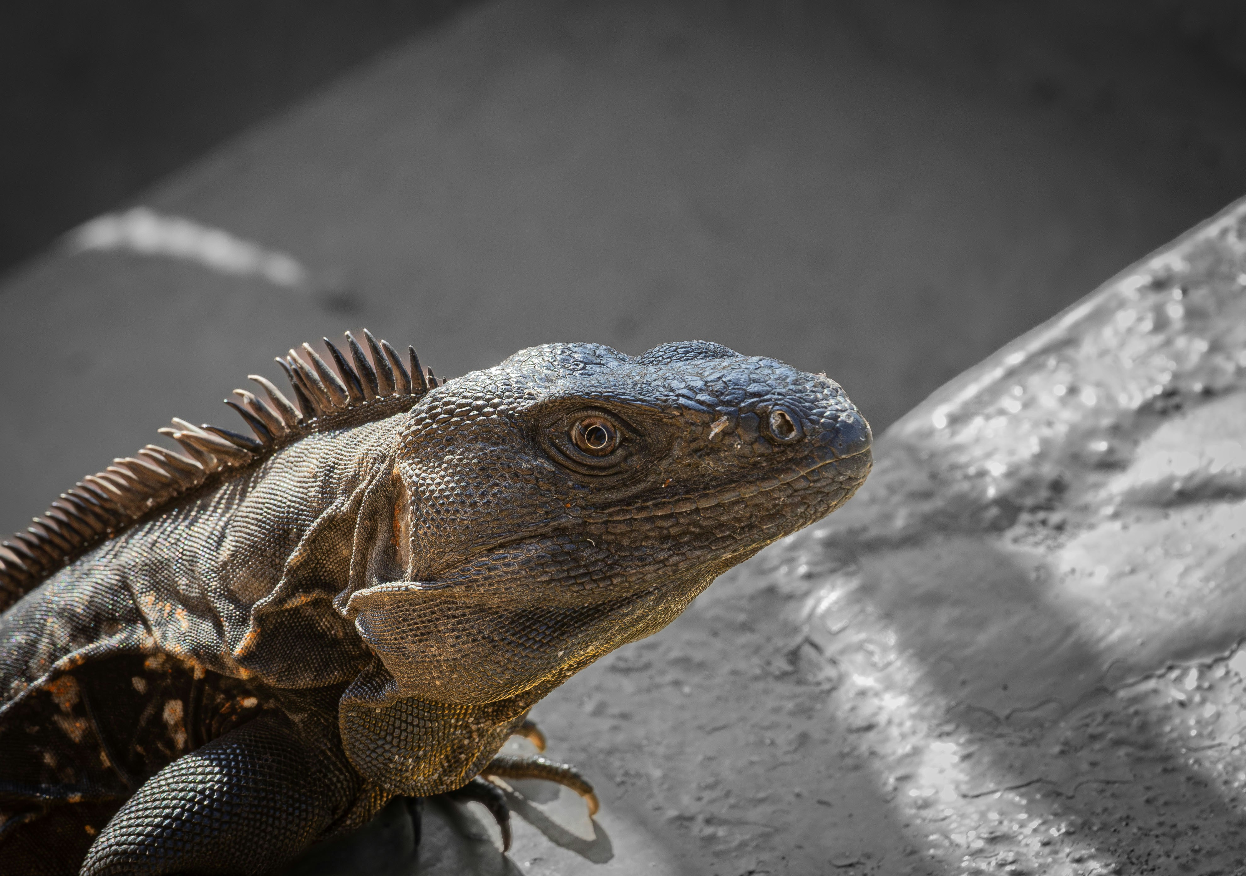 Photo by Alfonso Betancourt with Canon EOS R