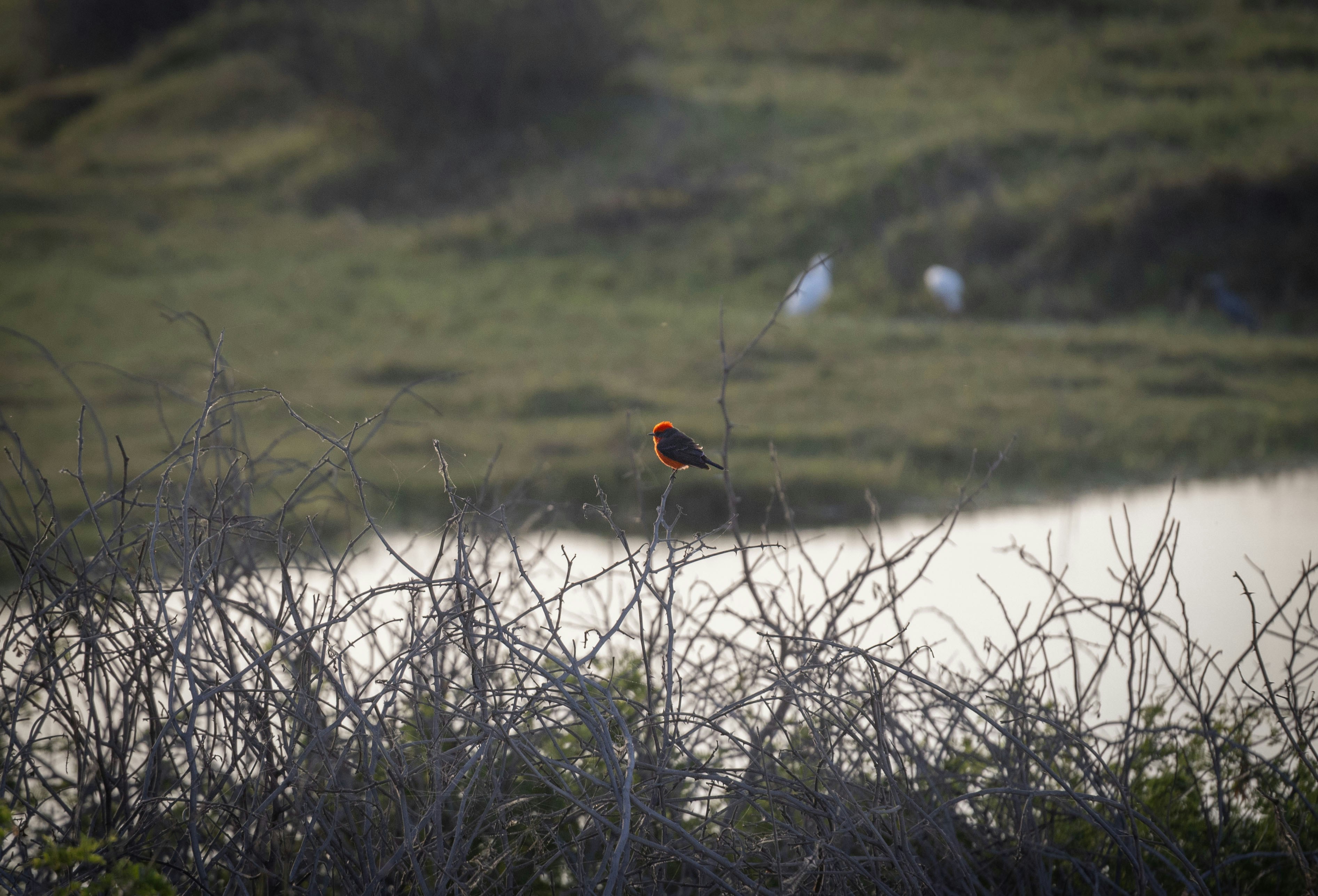 Photo by Alfonso Betancourt with Canon EOS R