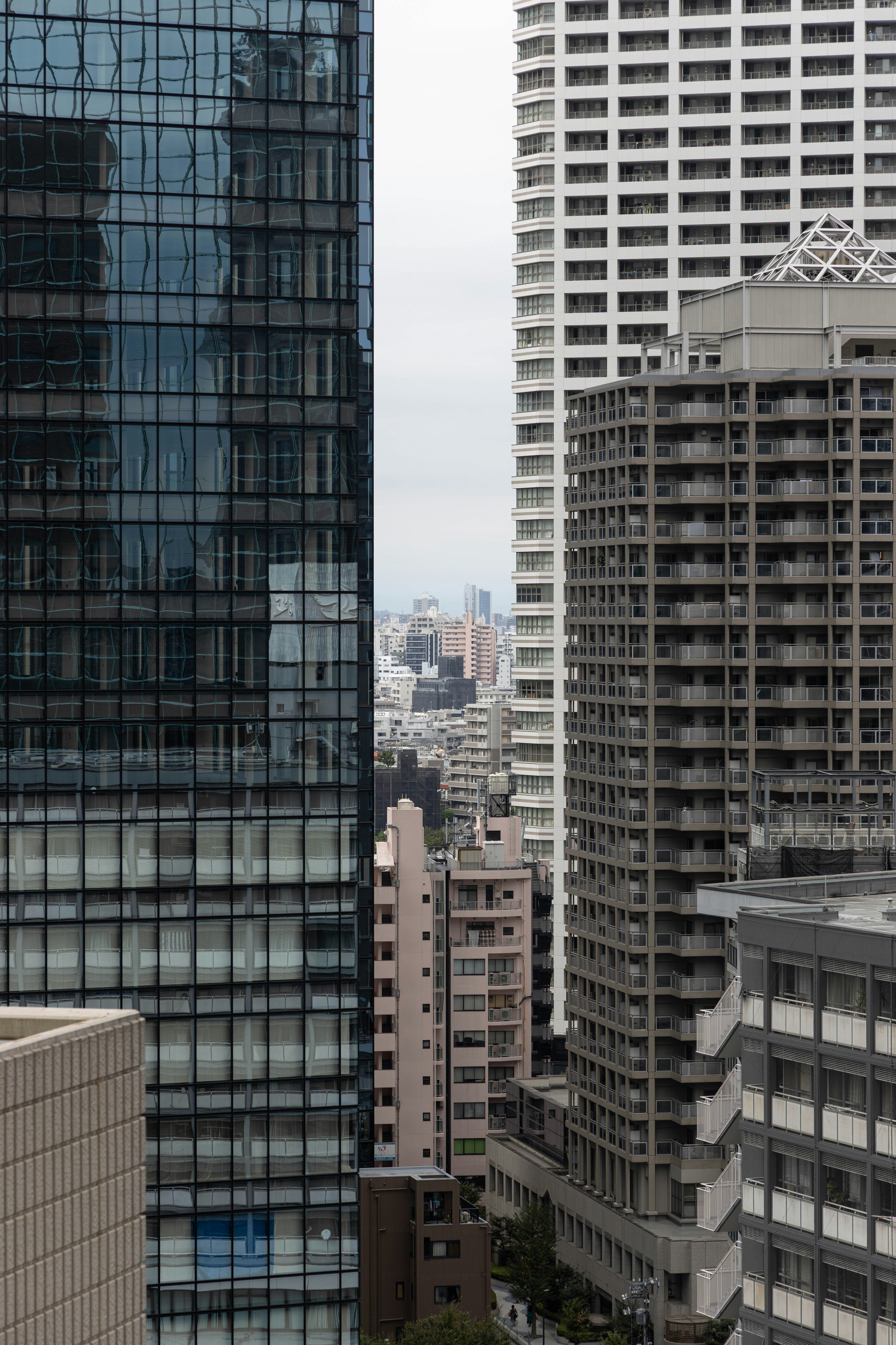 Photo by Simon N with Canon EOS R