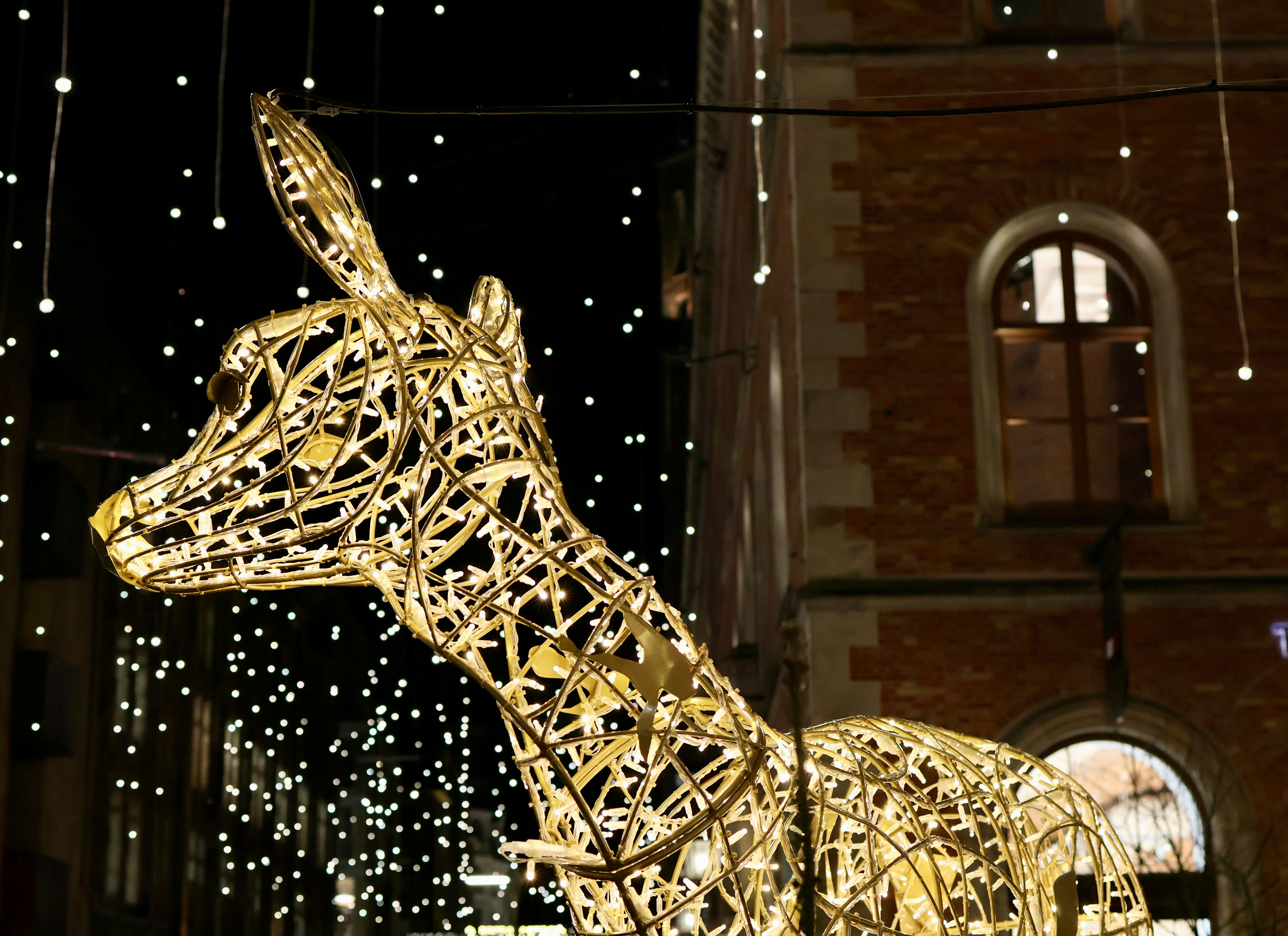Golden Lattice Reindeer Under a Canopy of Night-Festival Lights