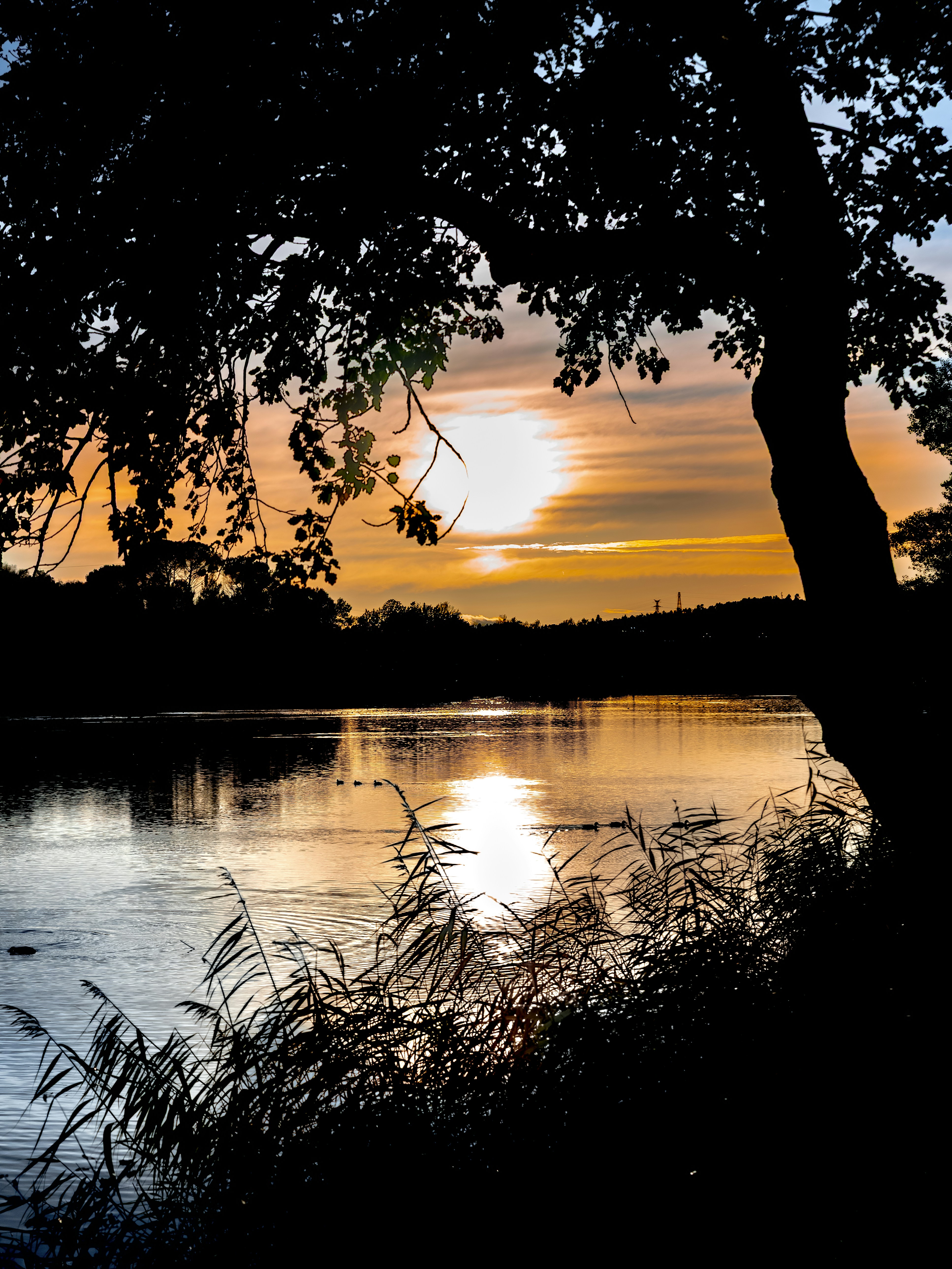 Photo by Philippe BONTEMPS with Nikon D750