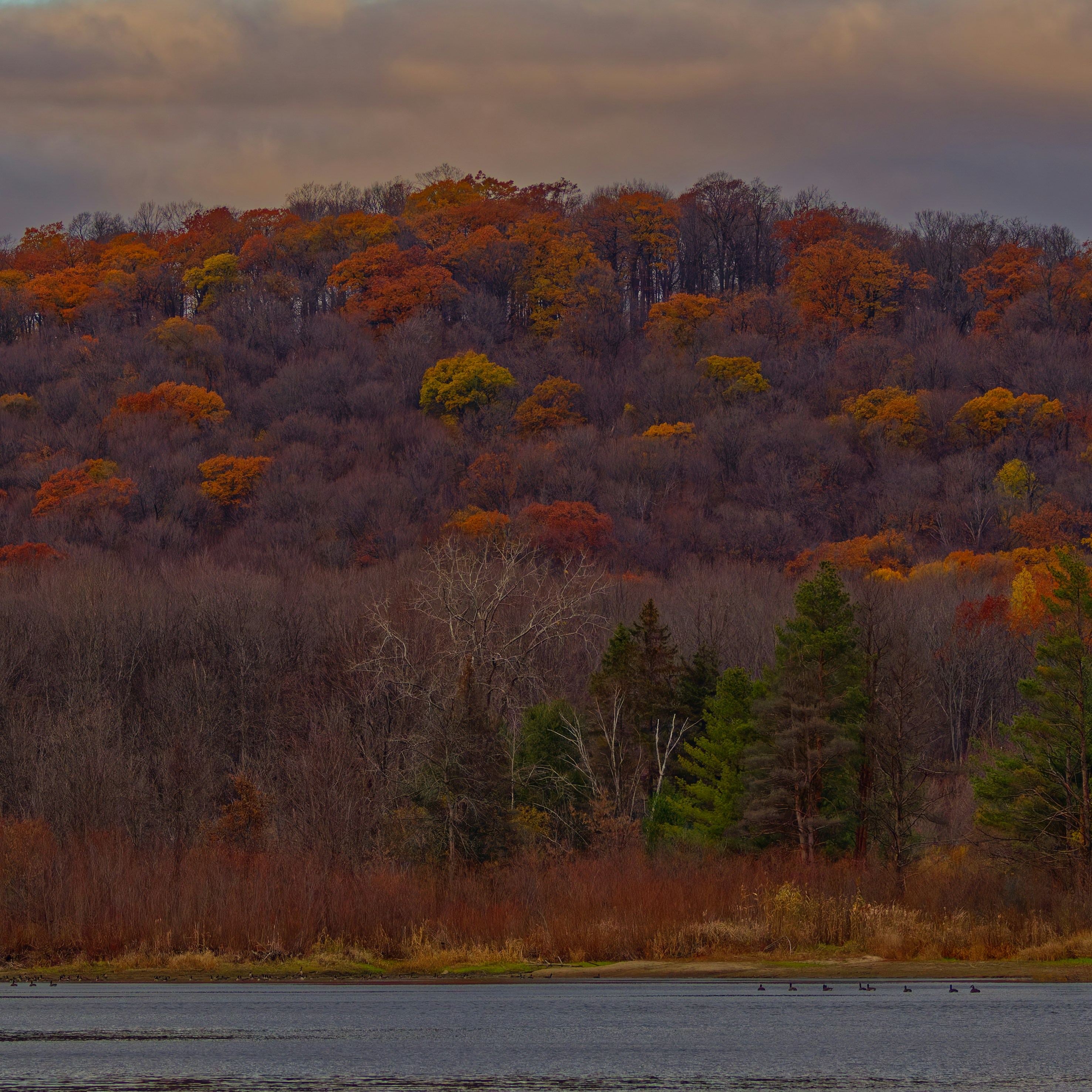 Autumn Fire on the Hills: A Quiet Lakeside Vista