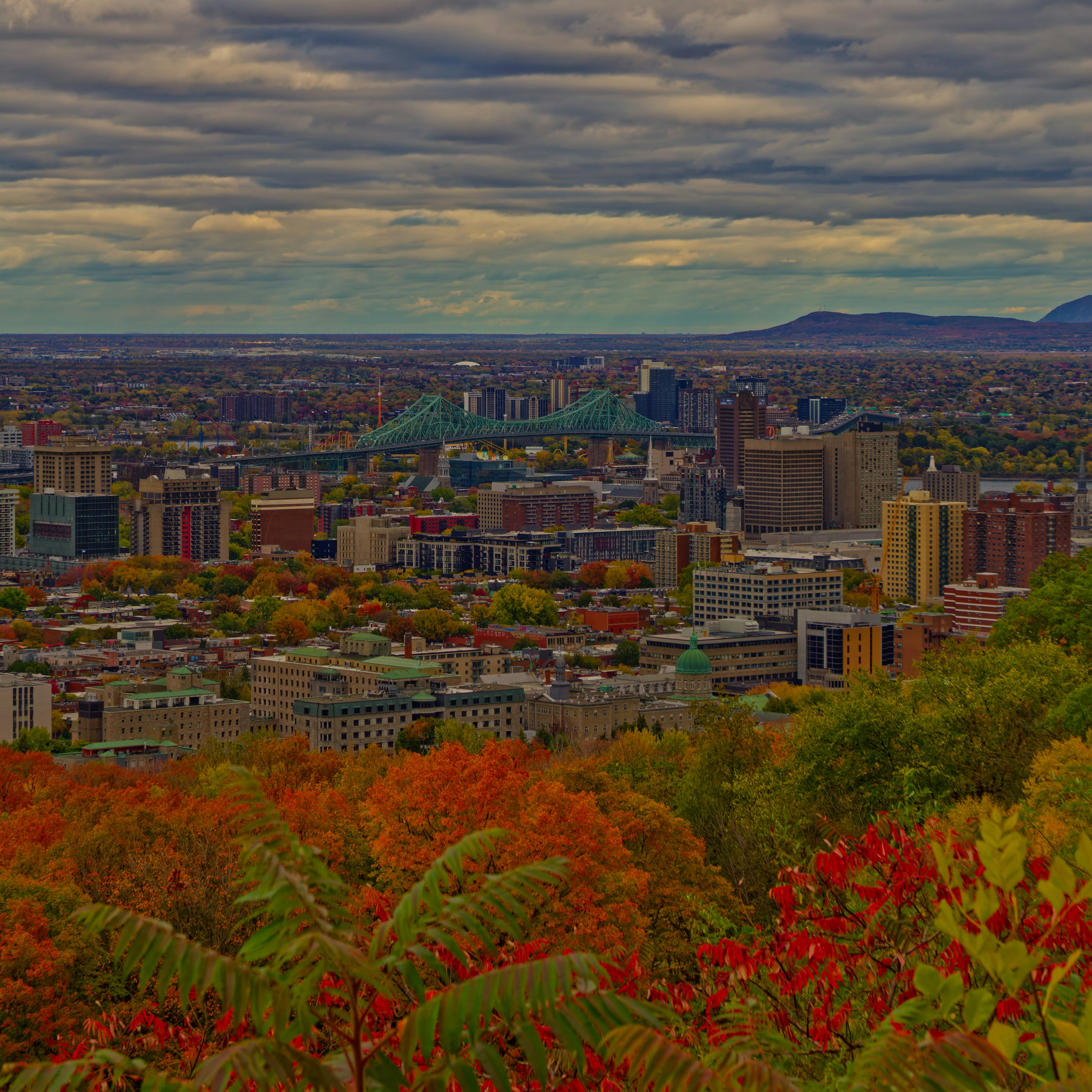 Emerald Roof at the Core: An Autumn Cityscape
