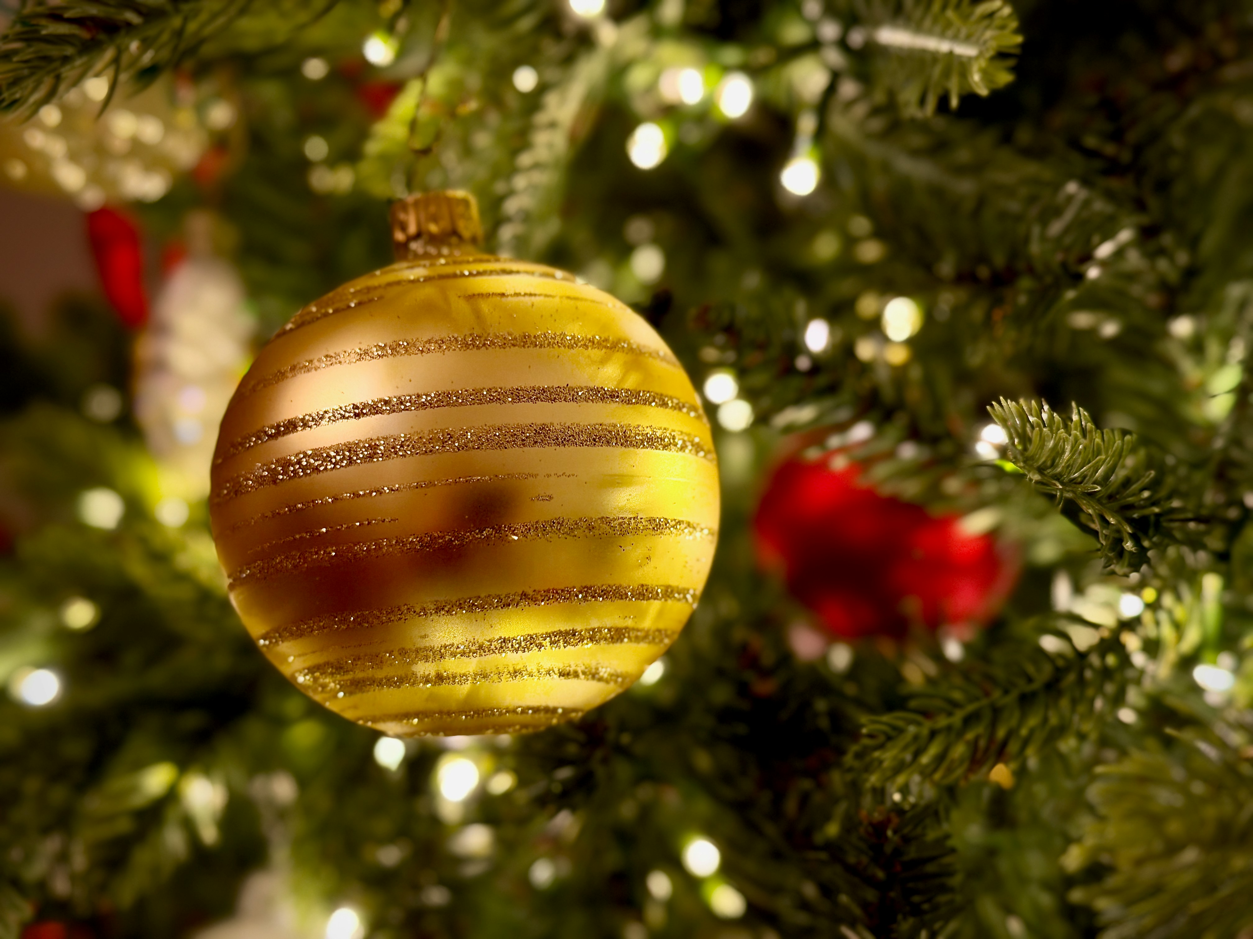Gilded Orb in a Forest of Christmas Glow