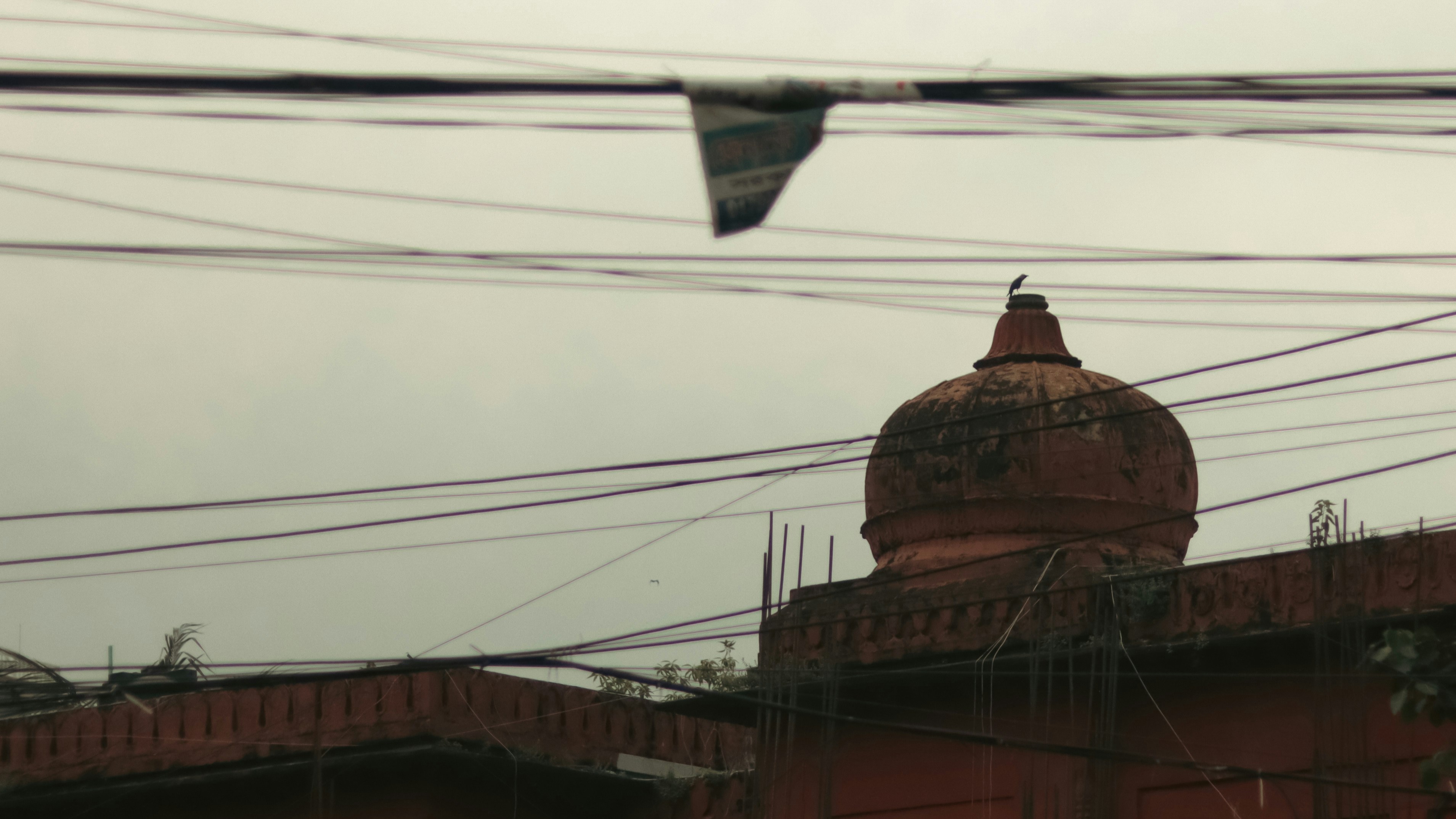Dome in the Wire Tangle: Red-Brick Architecture Across a Grid of Cables