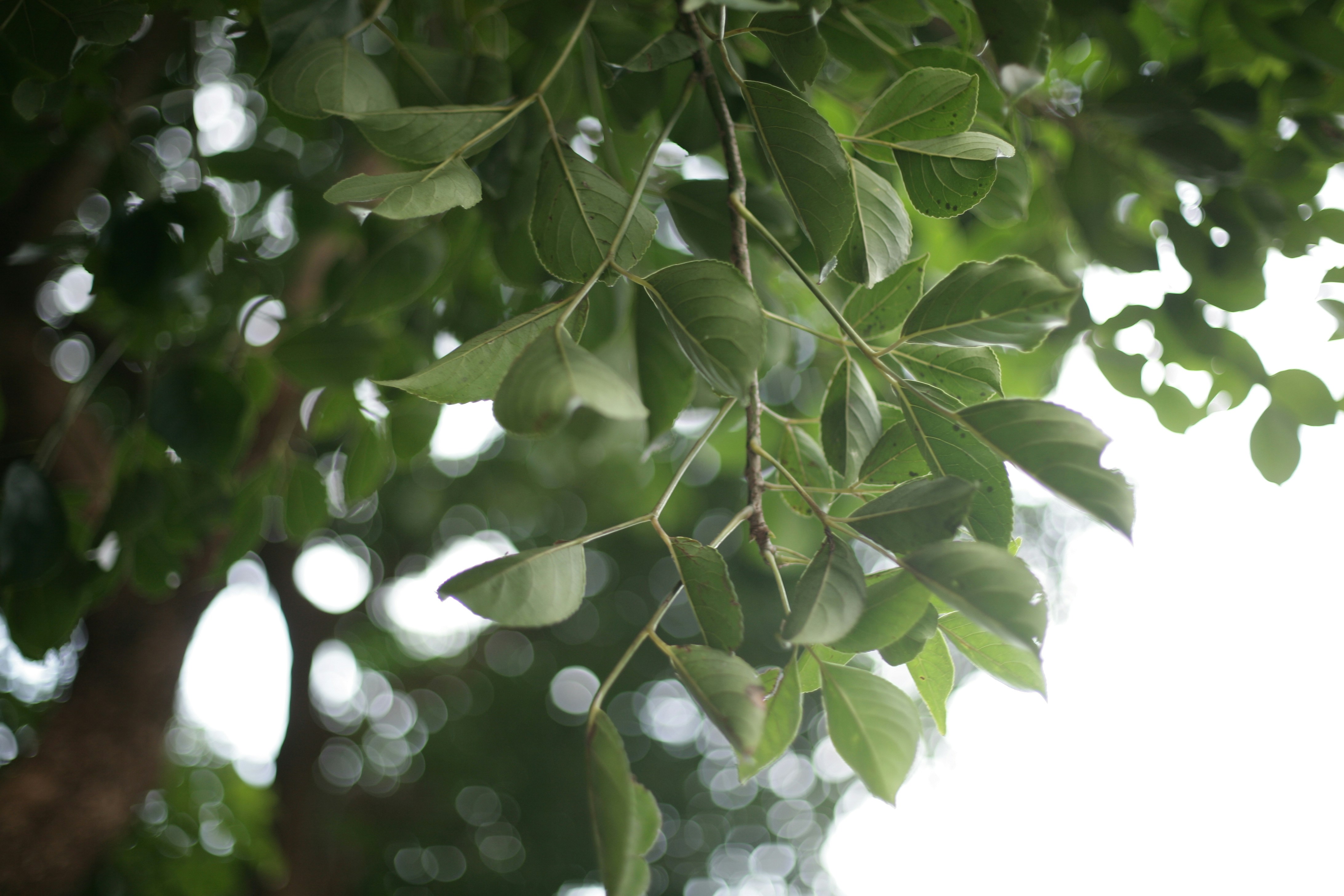 Photo by MChe Lee with CANON EOS 5D