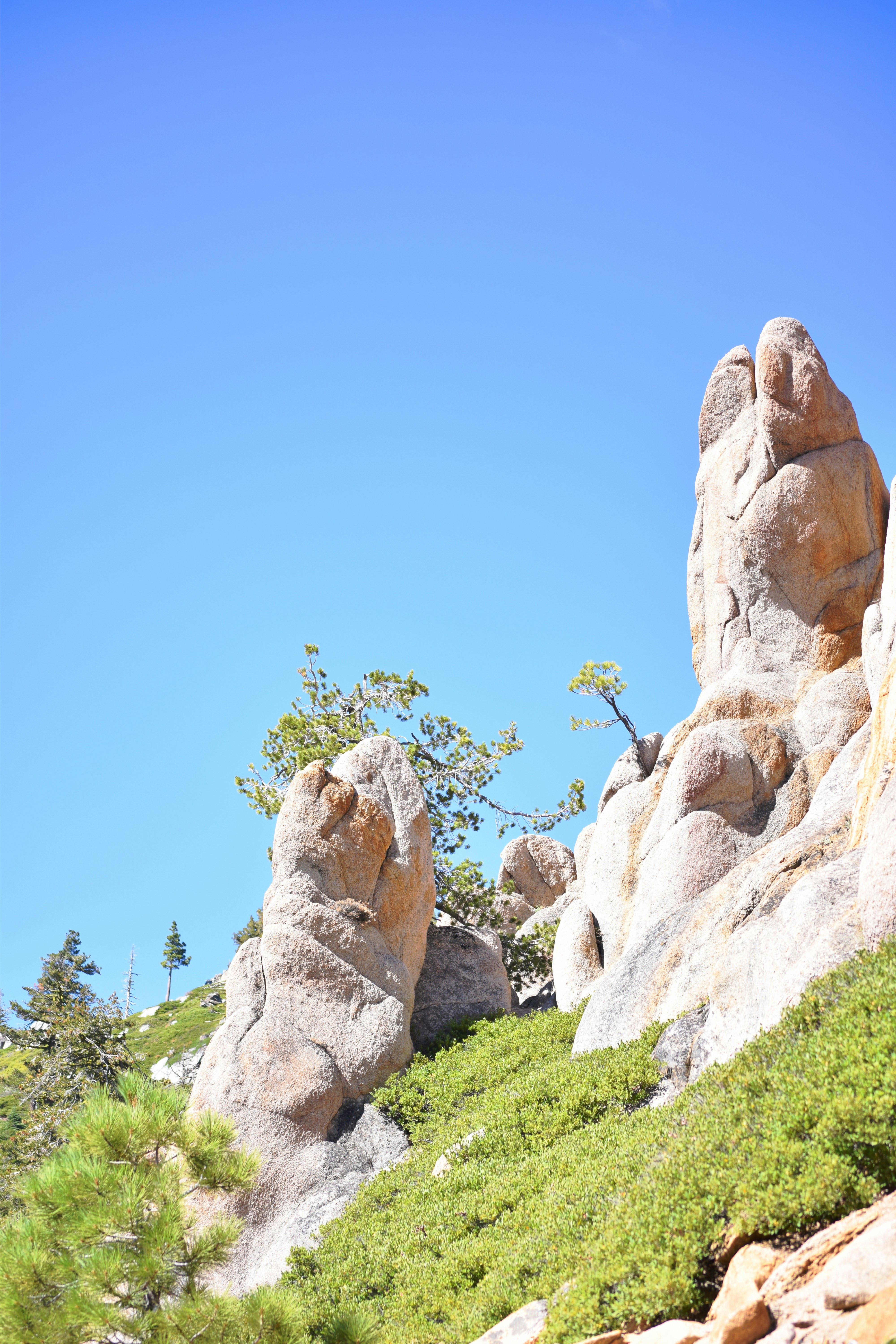 Rachel Beck (@rachjl) | Unsplash Photo Community