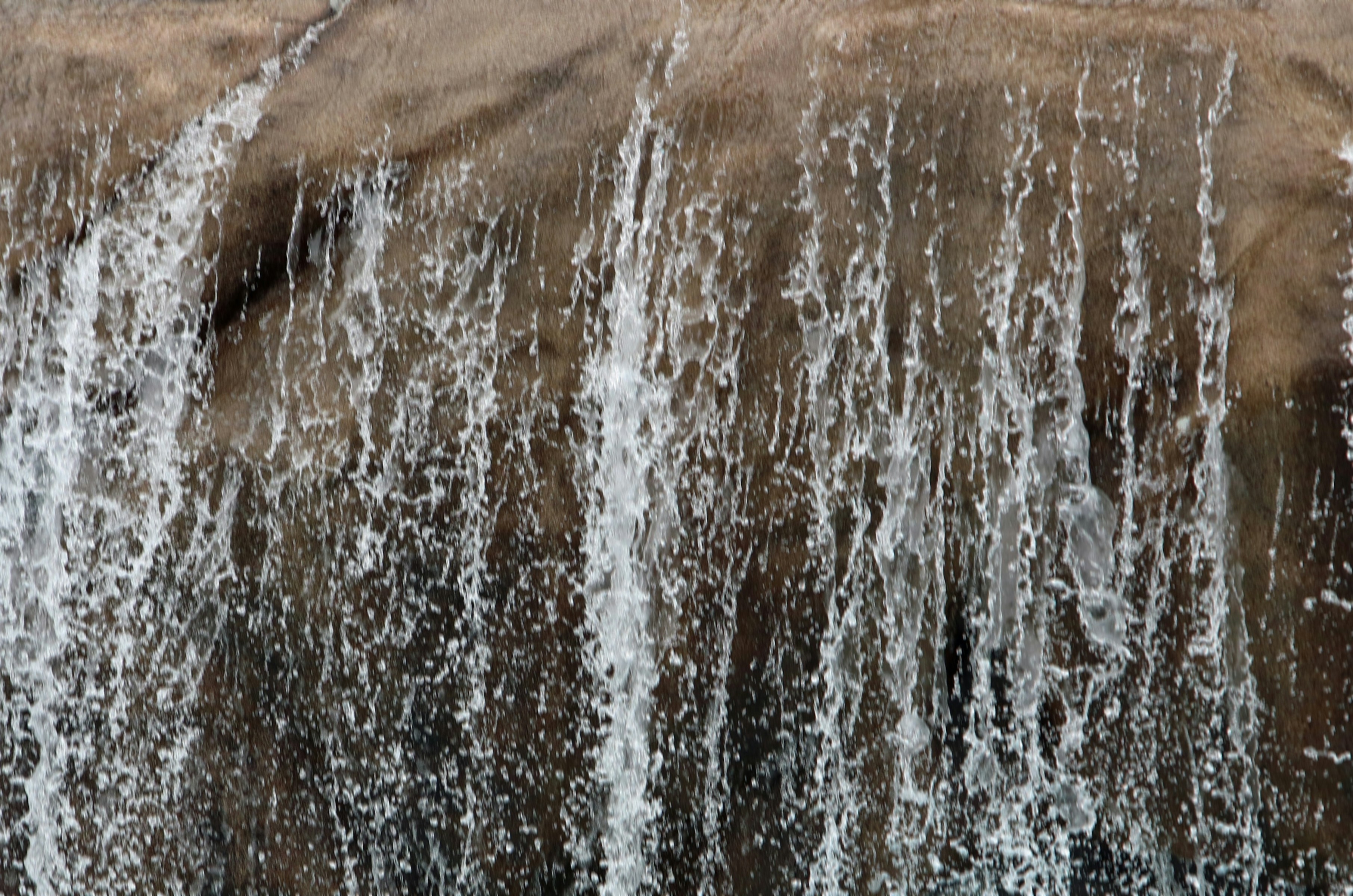 Photo by David Trinks with Canon EOS 7D Mark II