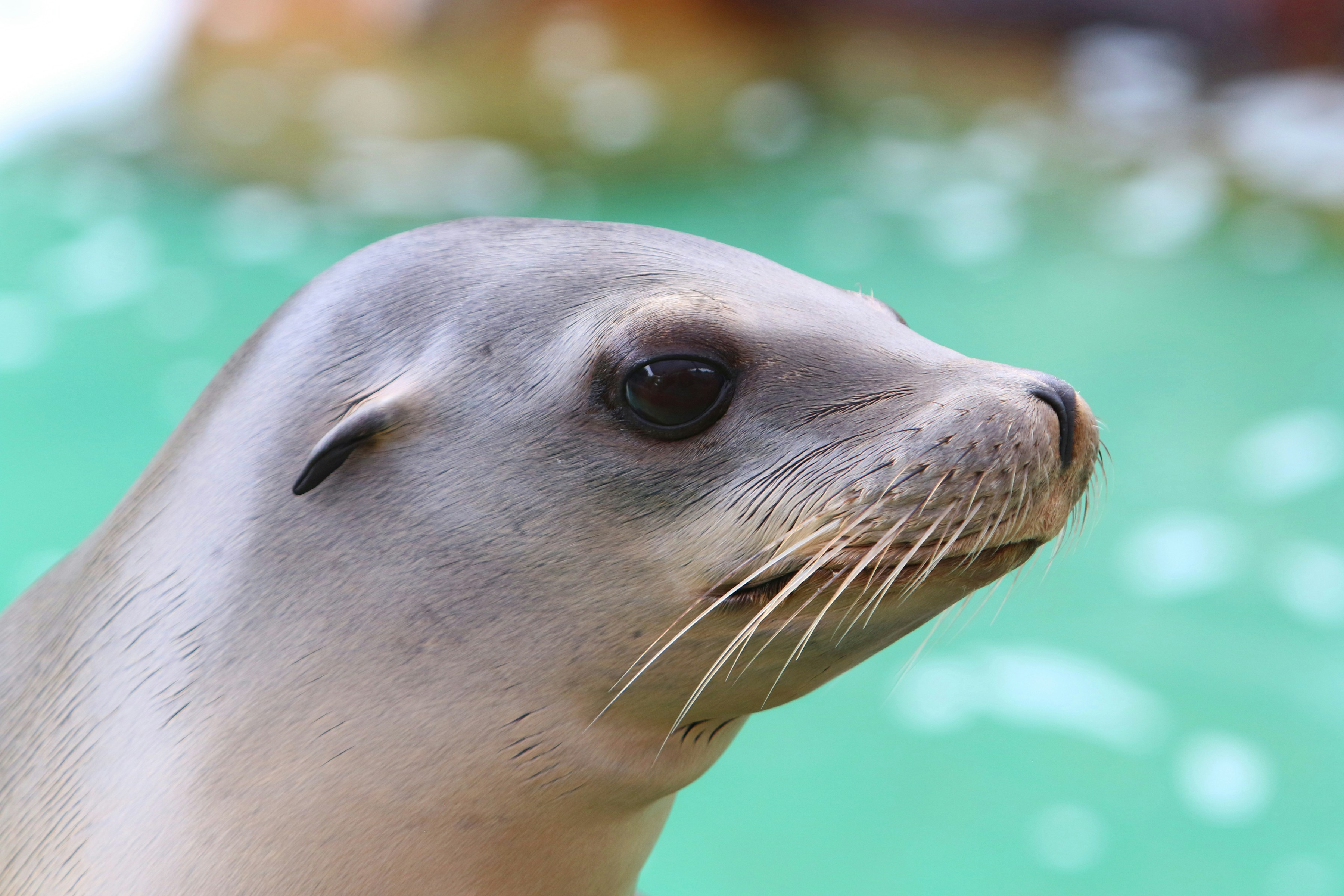 Photo by David Trinks with Canon EOS 7D Mark II