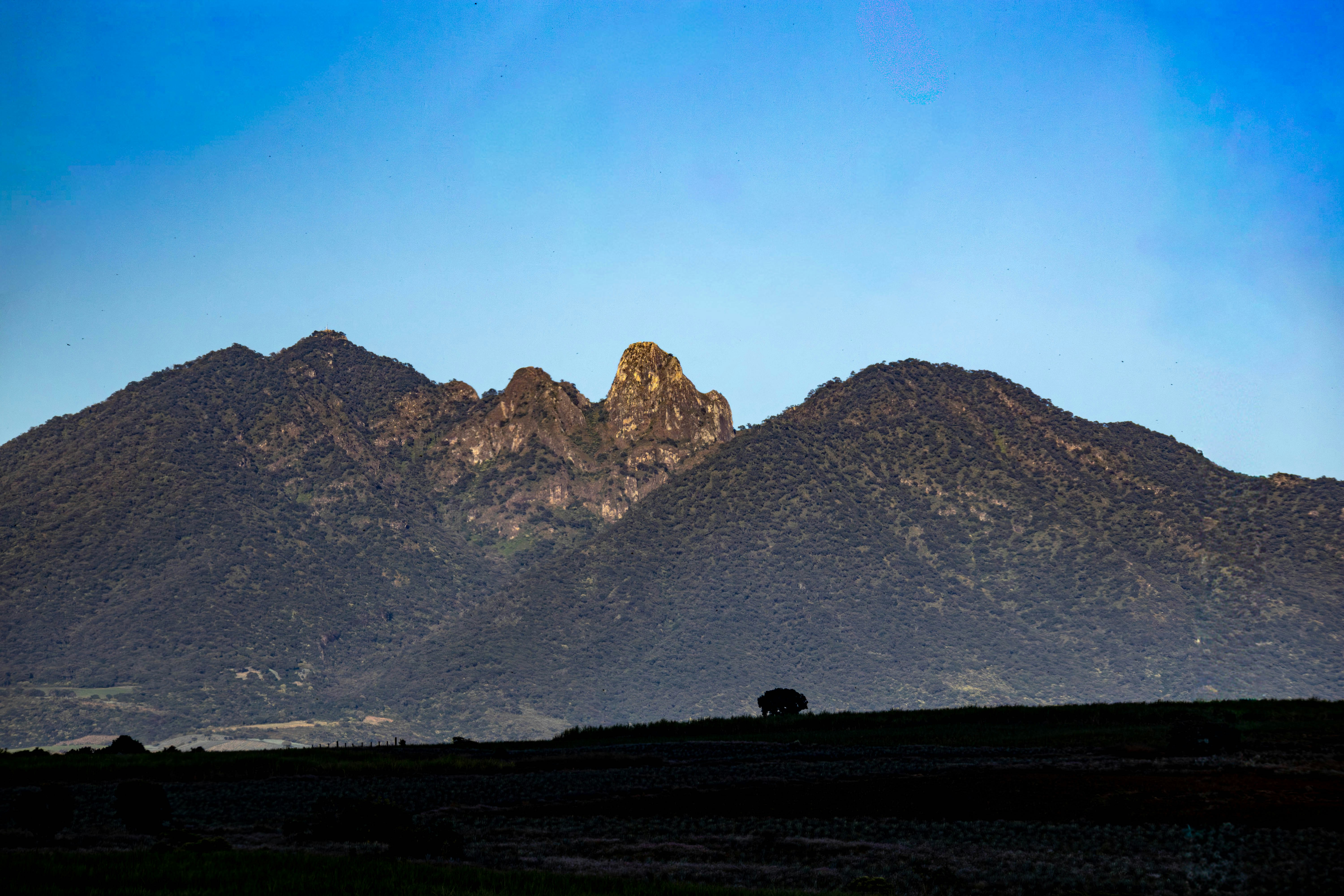 Lone Tree on a Shadowed Plateau Beneath a Rugged Mountain Horizon