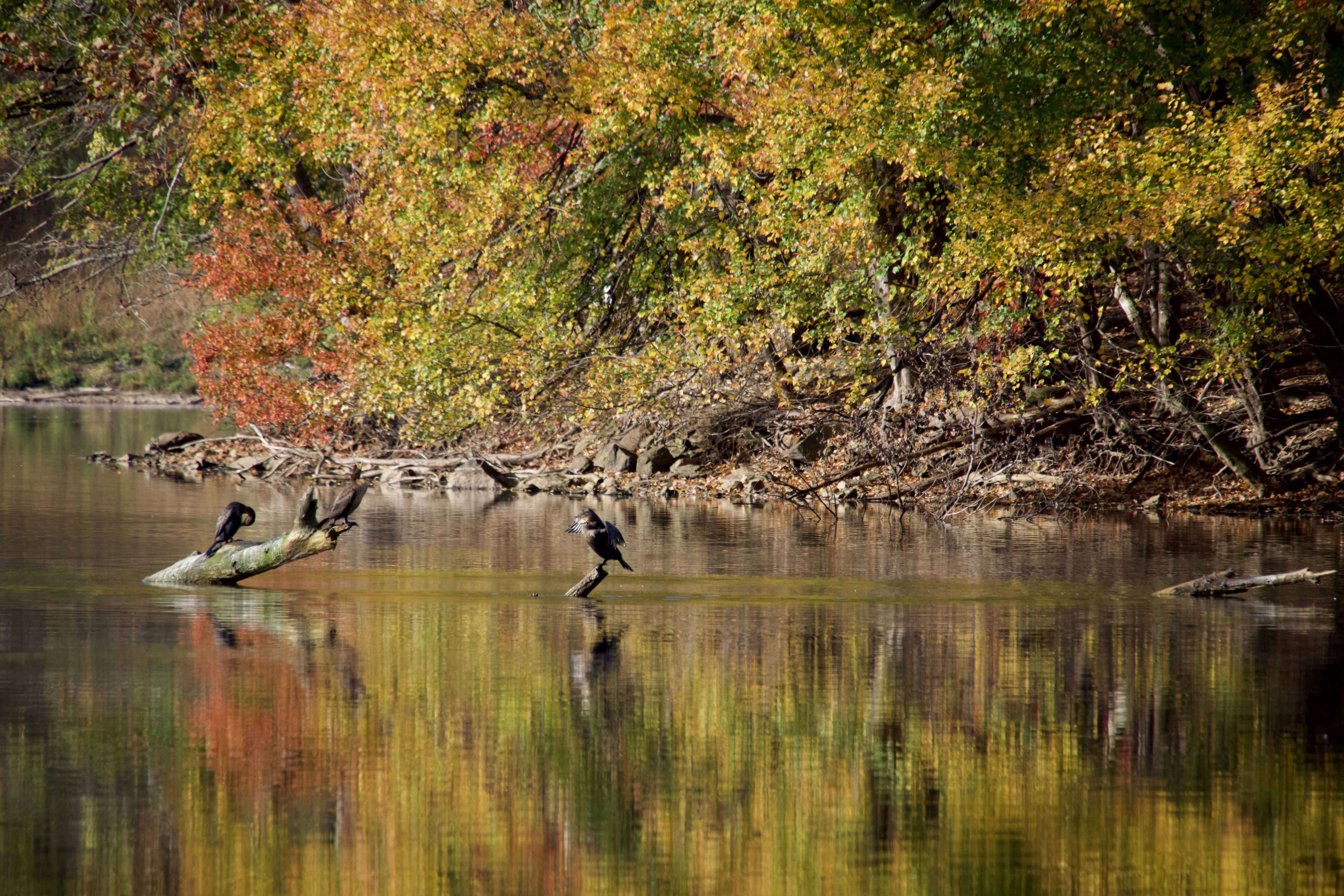 Photo by Ivy Tang with Fujifilm X-T3