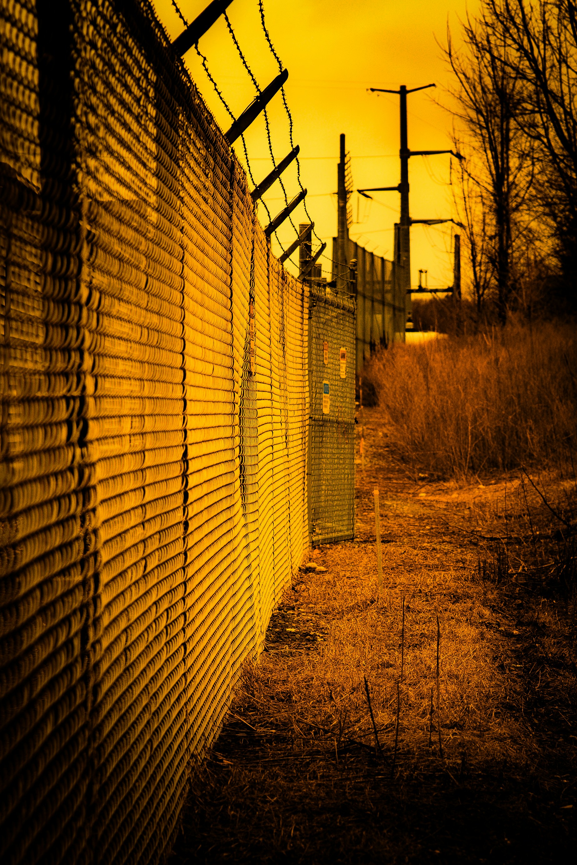 Amber Corridor: A fence receding toward a distant gate under sunset light