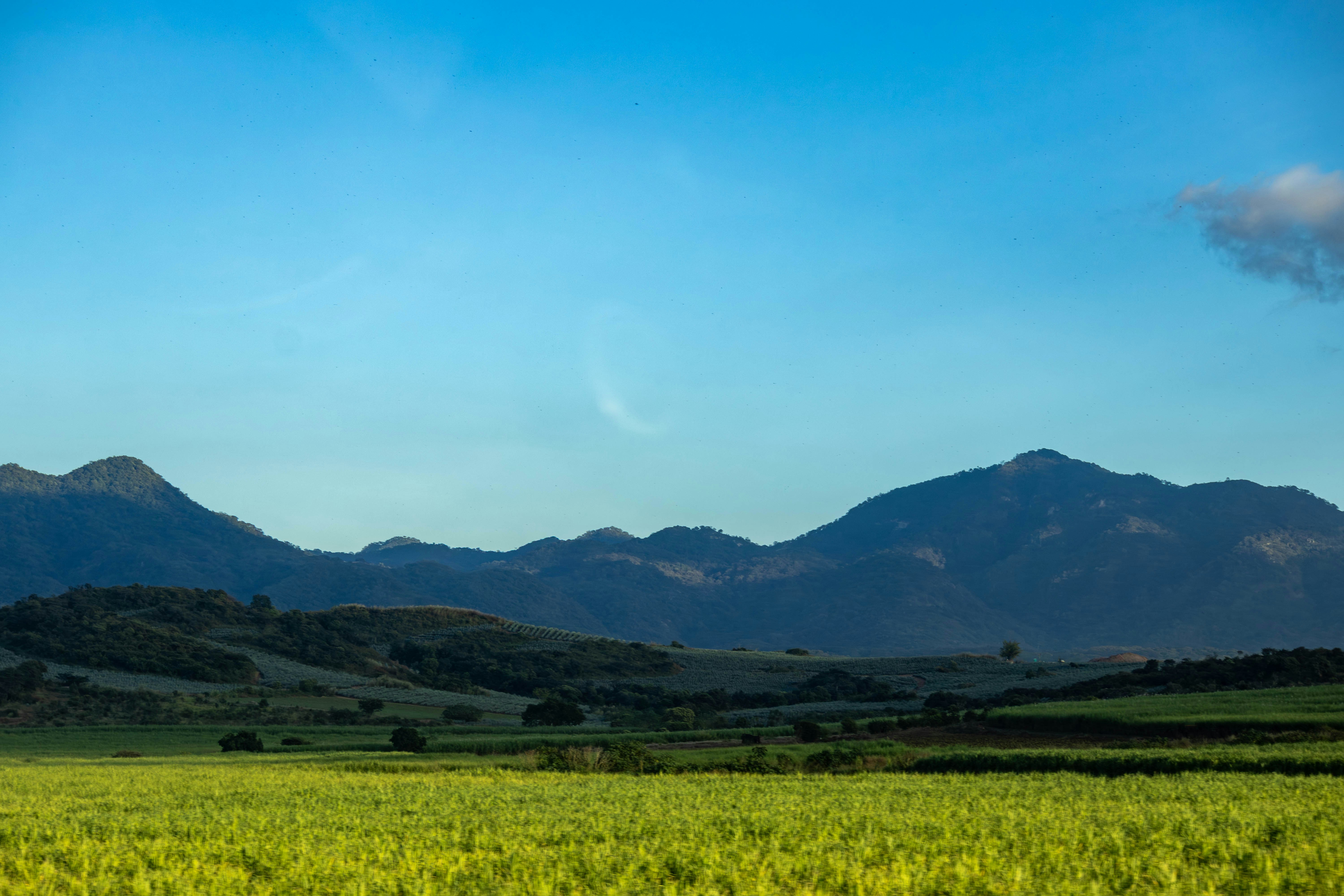 Green fields with layered mountains in the background under a clear blue sky in Nayarit Mexico