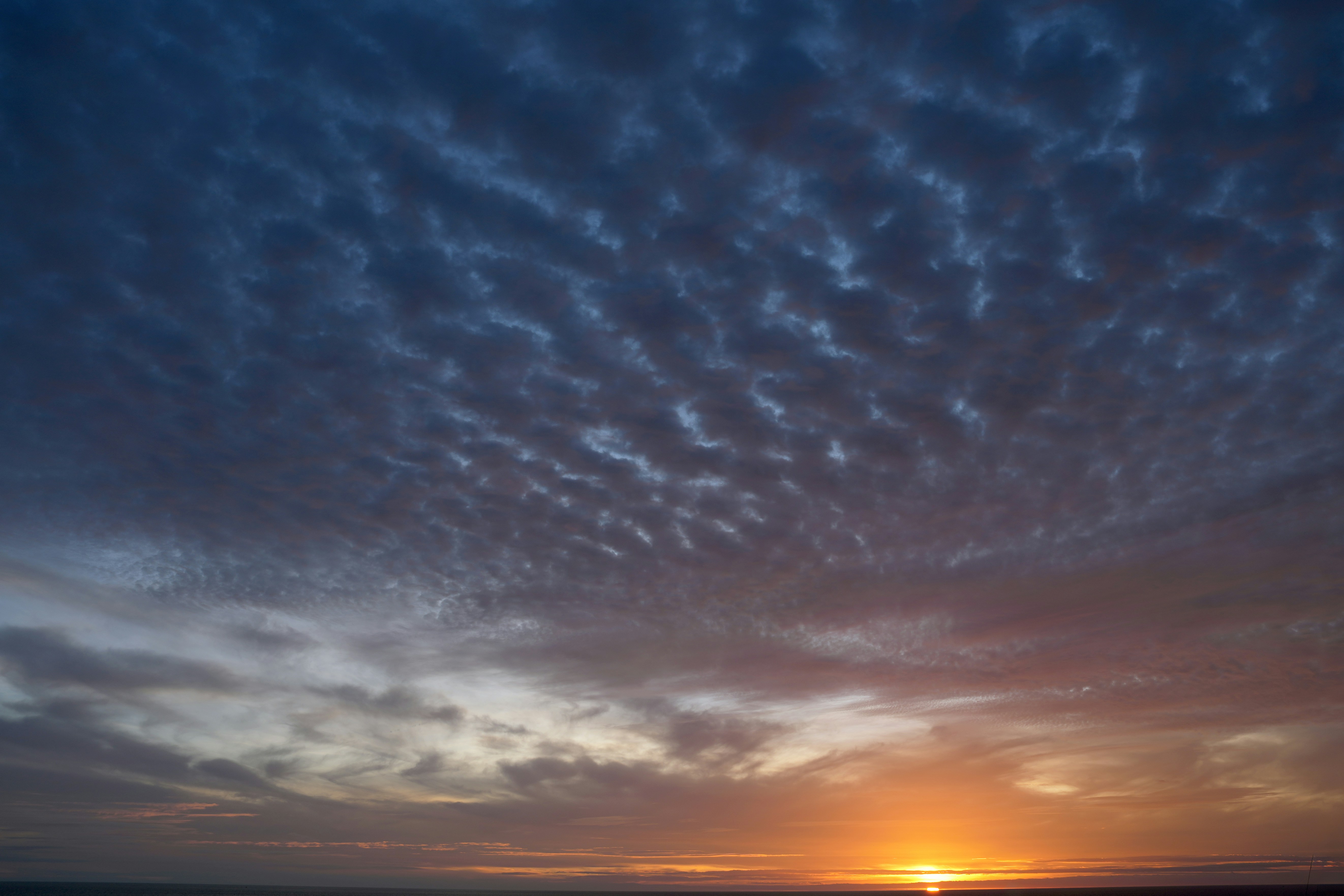 Photo by Markus Kammermann with Sony Alpha 1 II