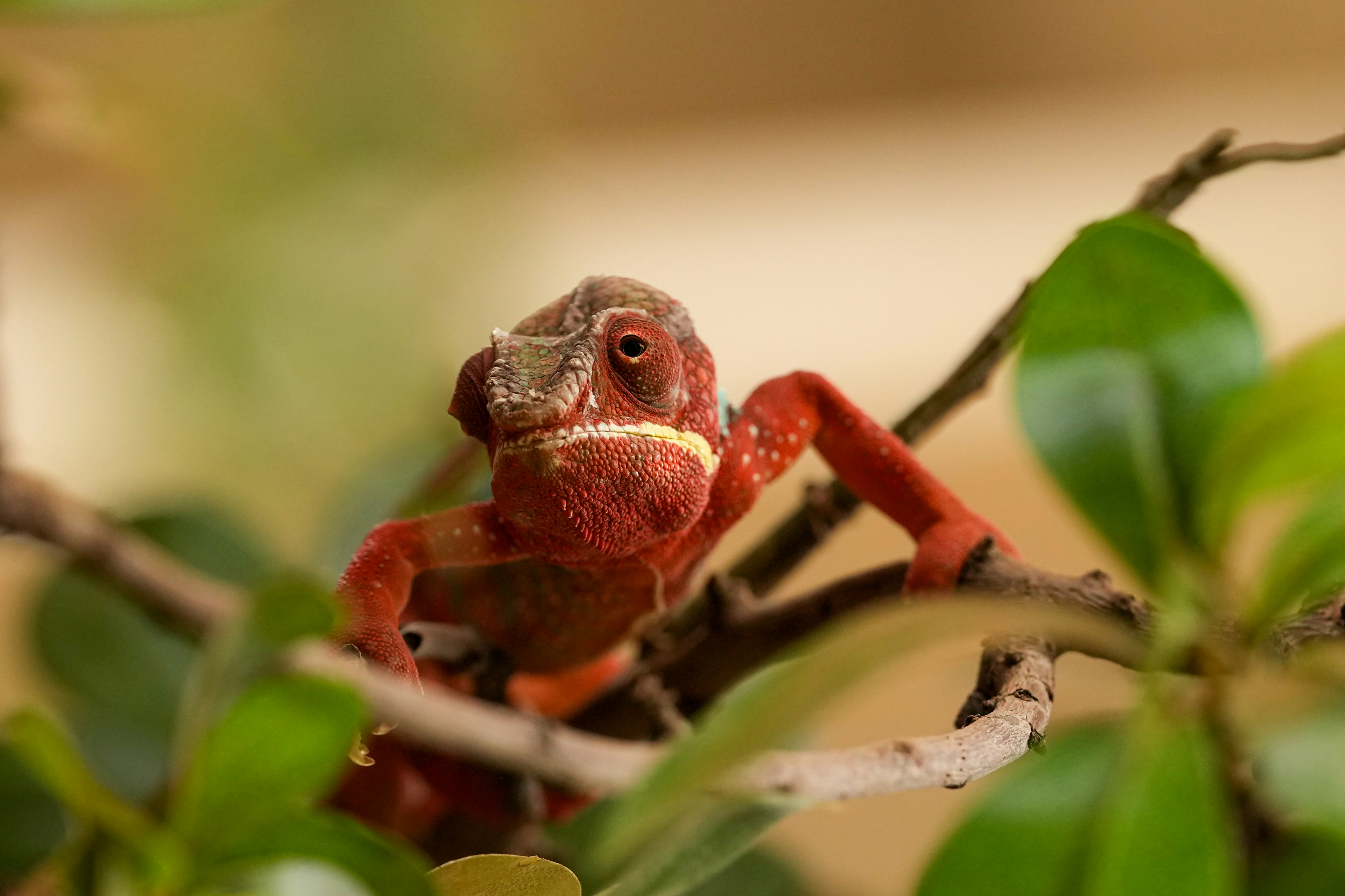 Photo by Markus Kammermann with Sony Alpha 1 II