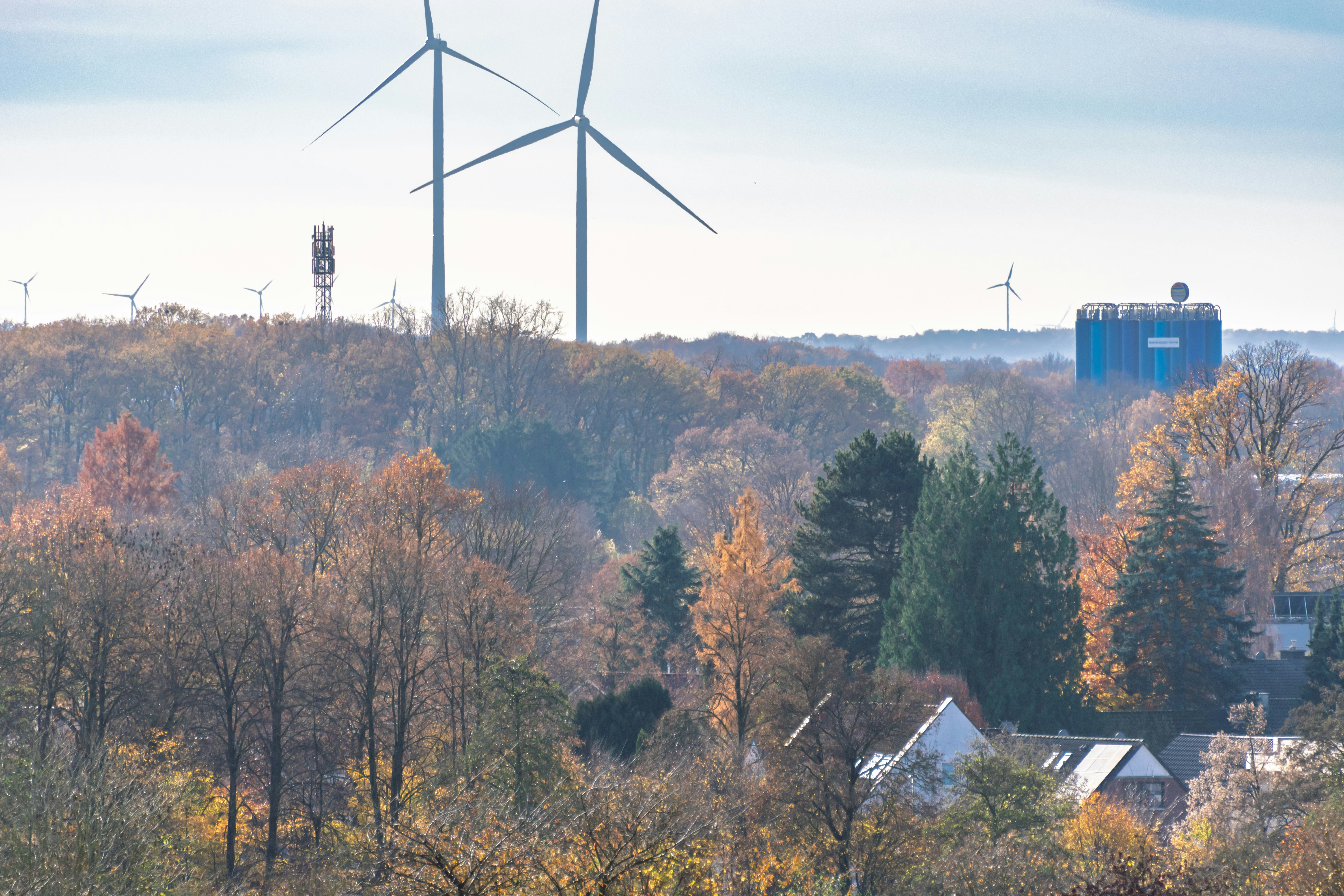 Photo by SK Strannik with Nikon D5500