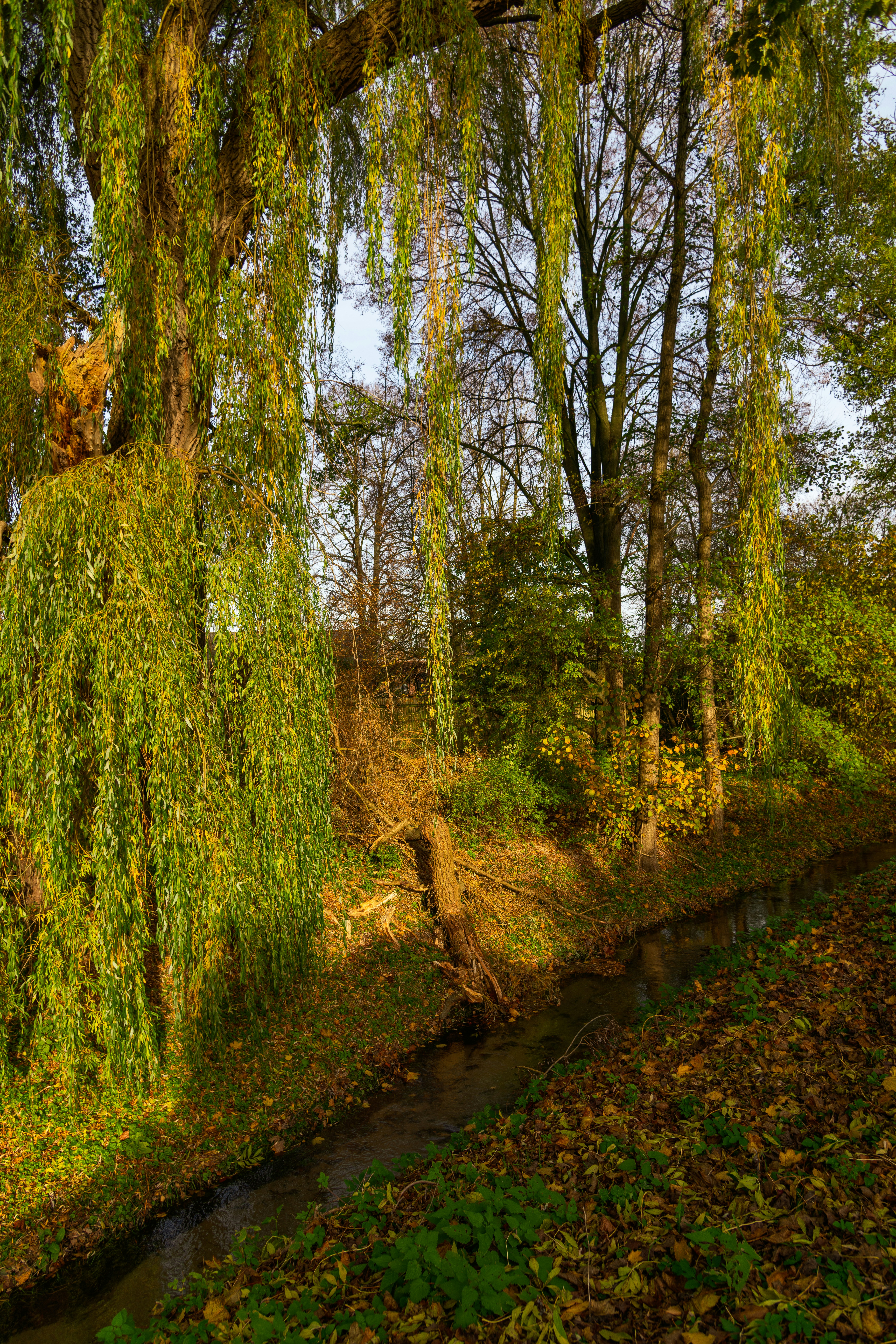 Photo by SK Strannik with Nikon D850