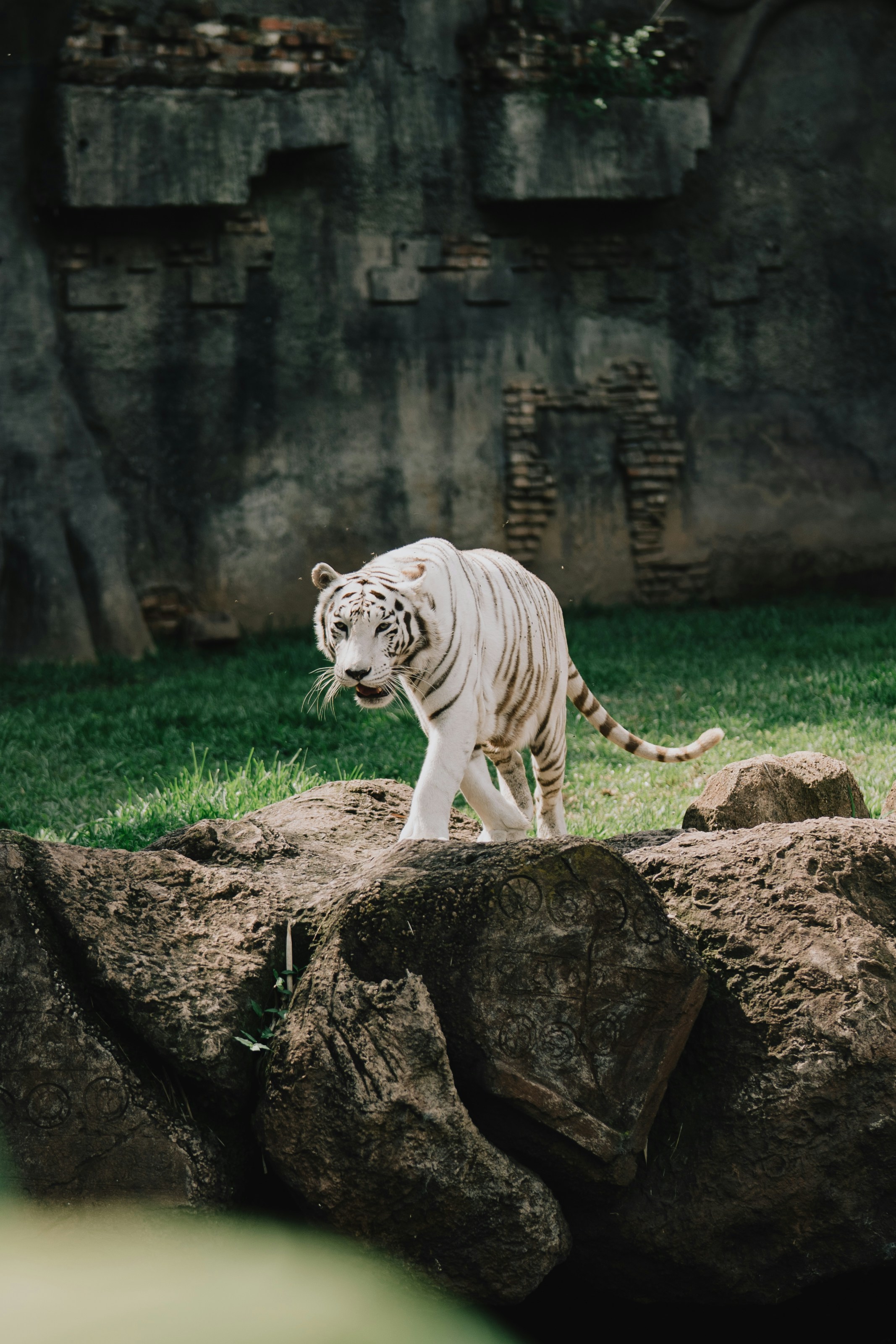 Photo by Mario Alberto Meza Rodríguez with Sony Alpha 7 IV