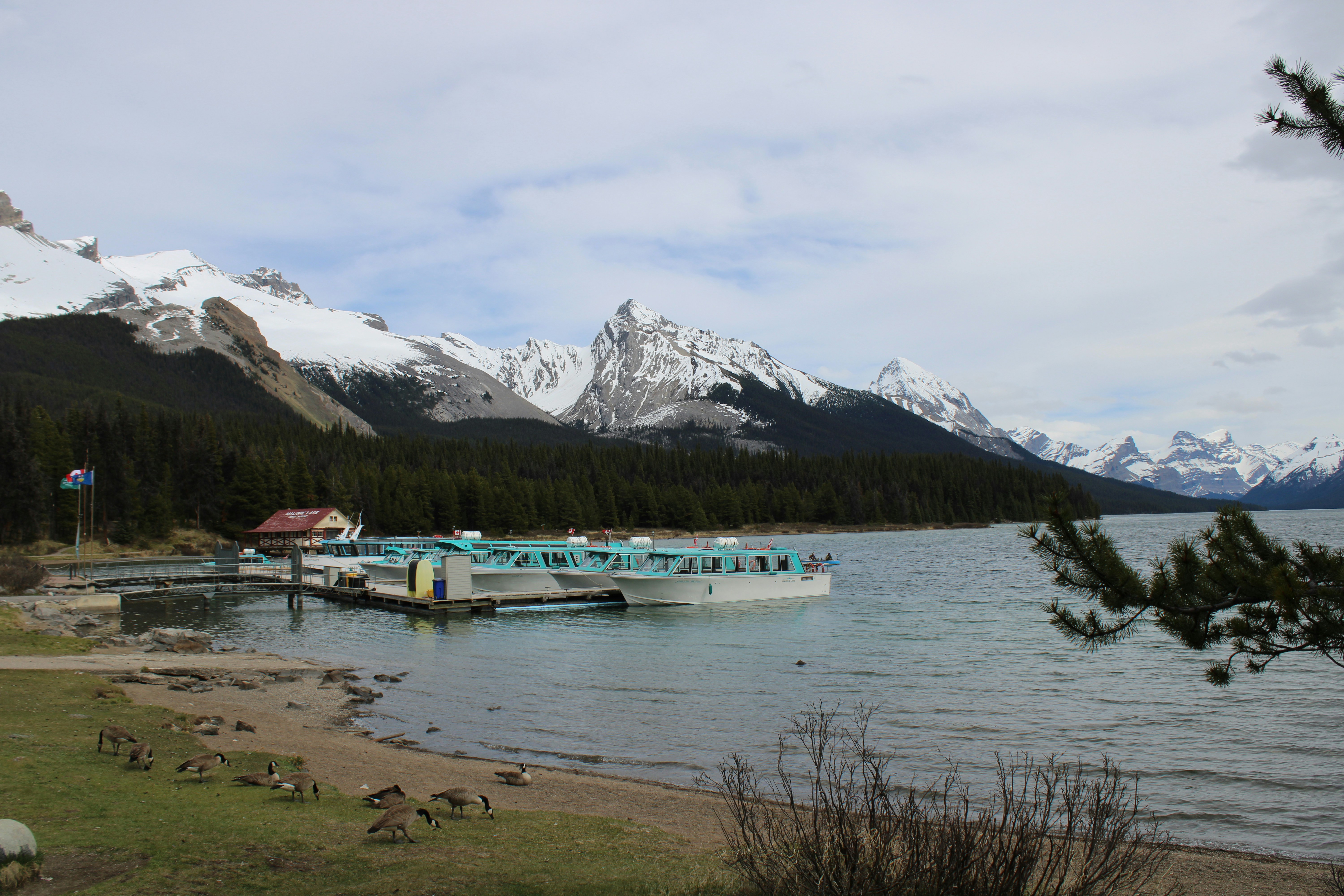 Turquoise Rowboats at a Lakefront Dock Beneath Snowy Peaks