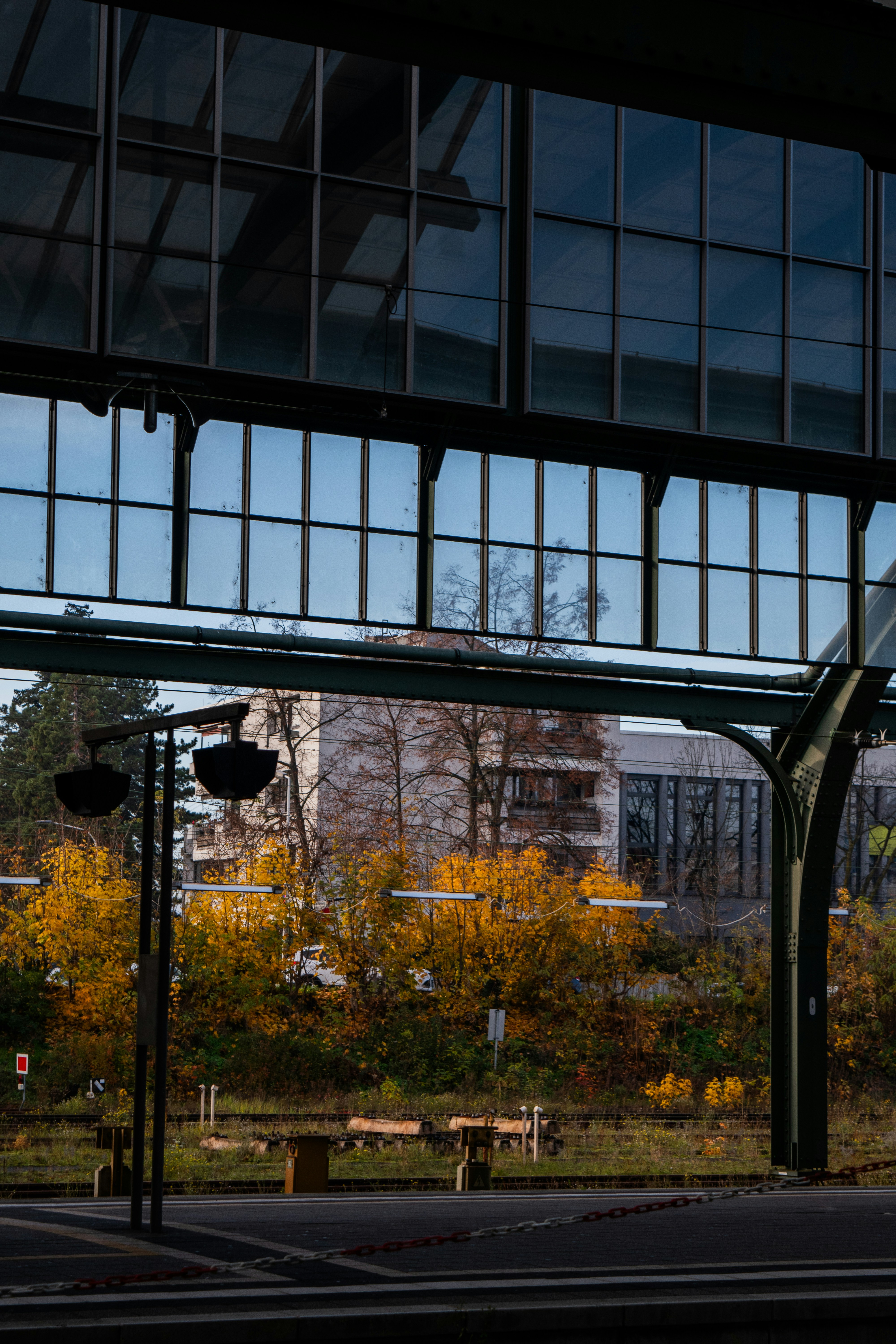 Photo by Ahmed Slimene with Nikon D3500