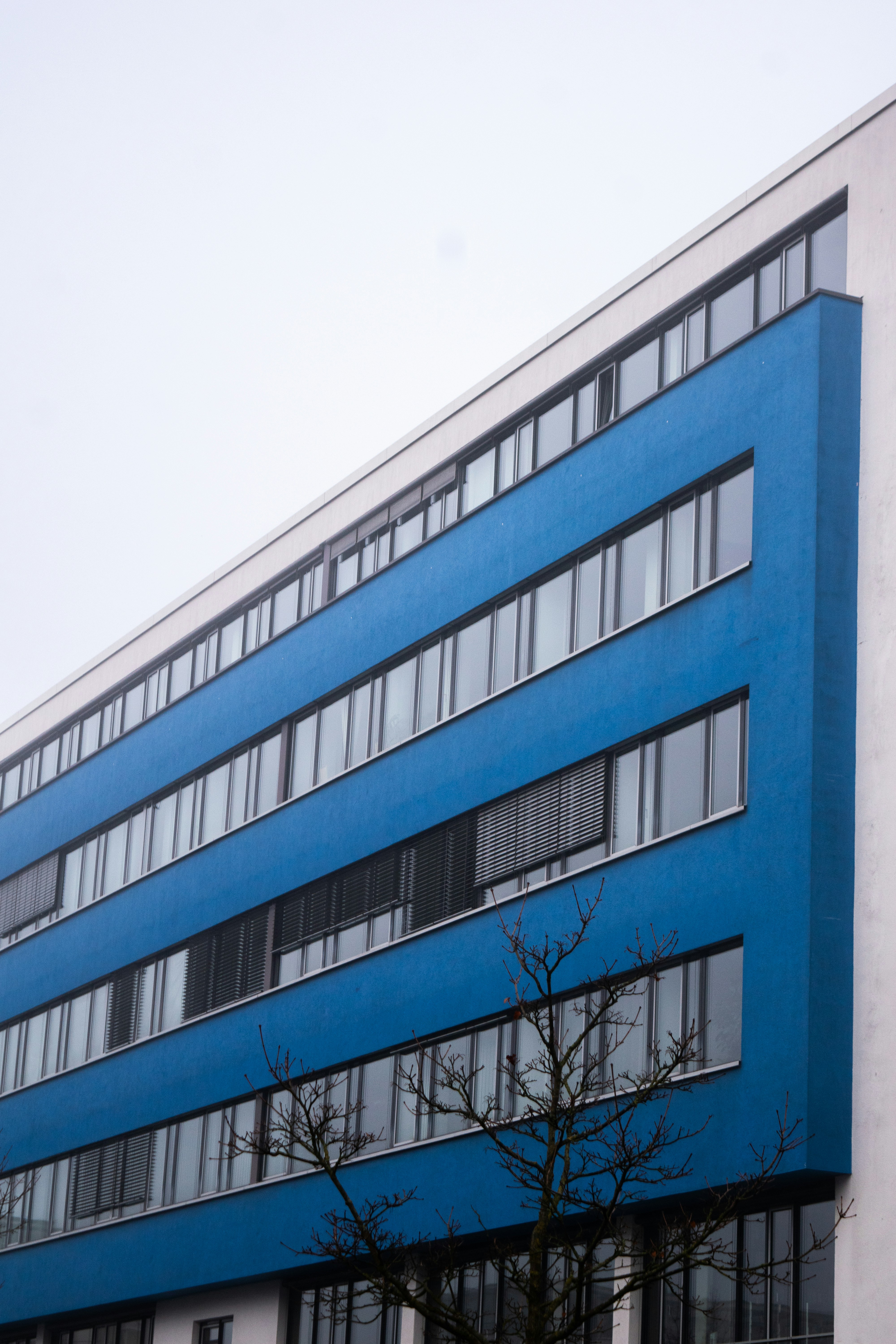 Photo by Ahmed Slimene with Nikon D3500