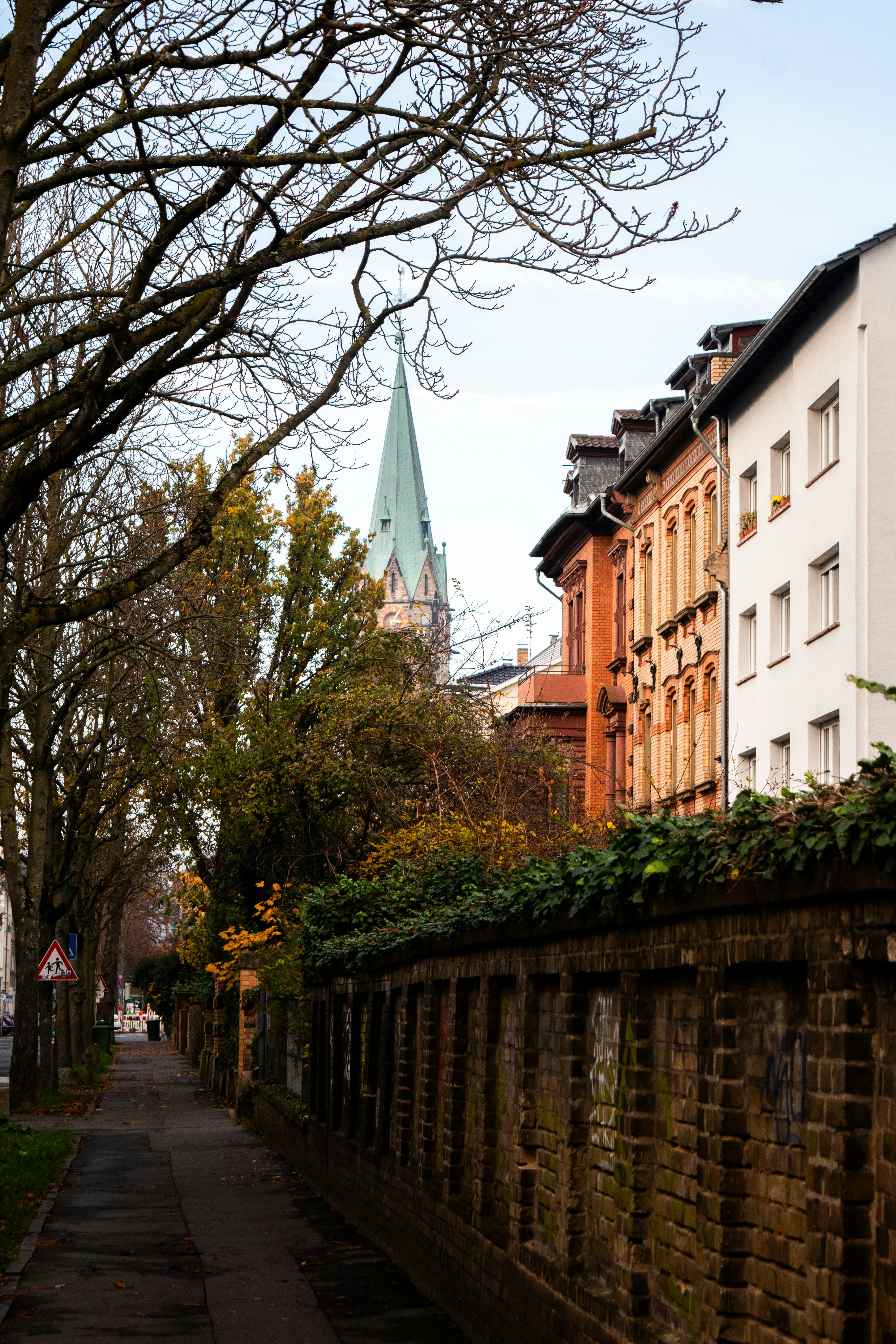 Photo by Ahmed Slimene with Nikon D3500