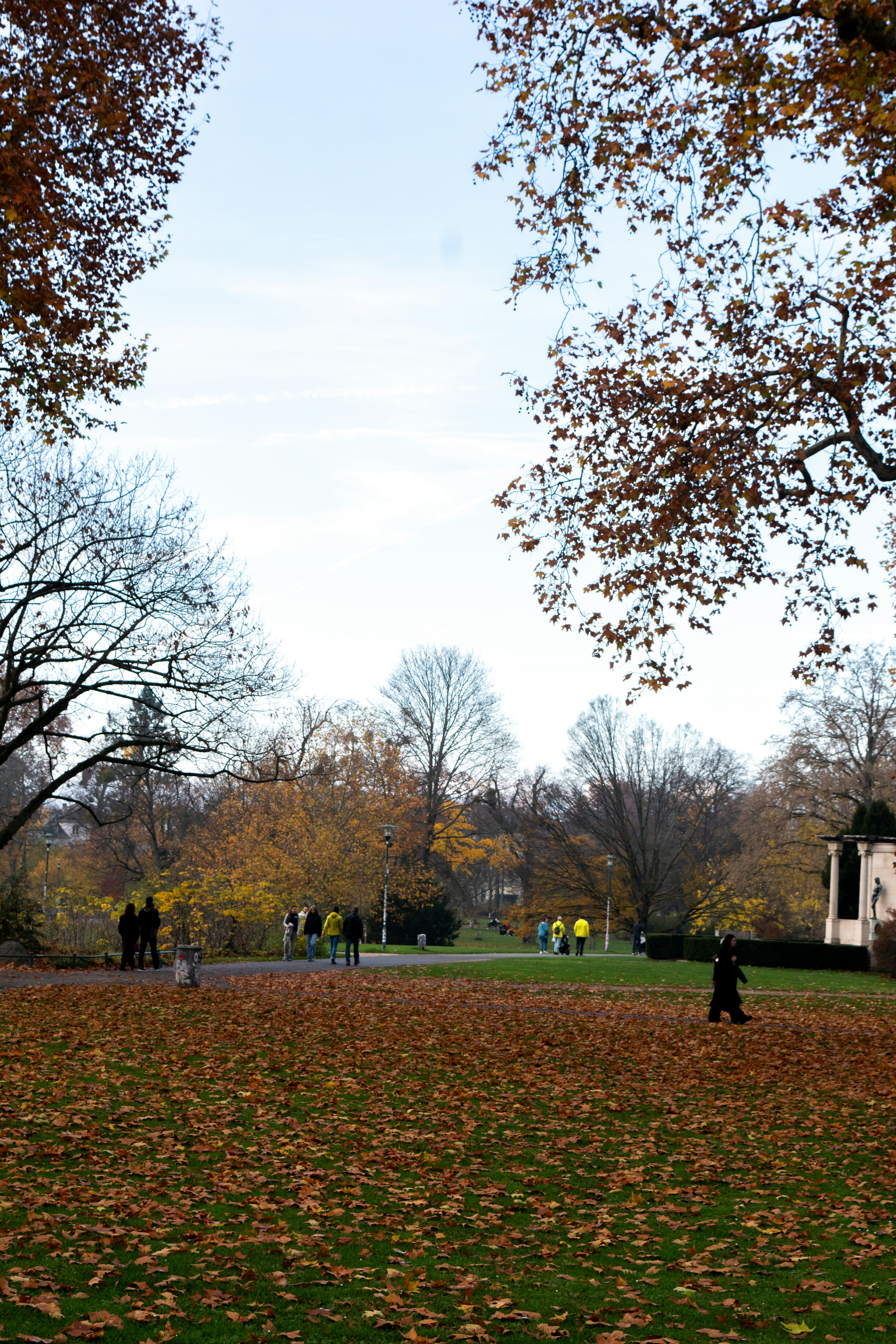 Distant Amber Assembly in a Park