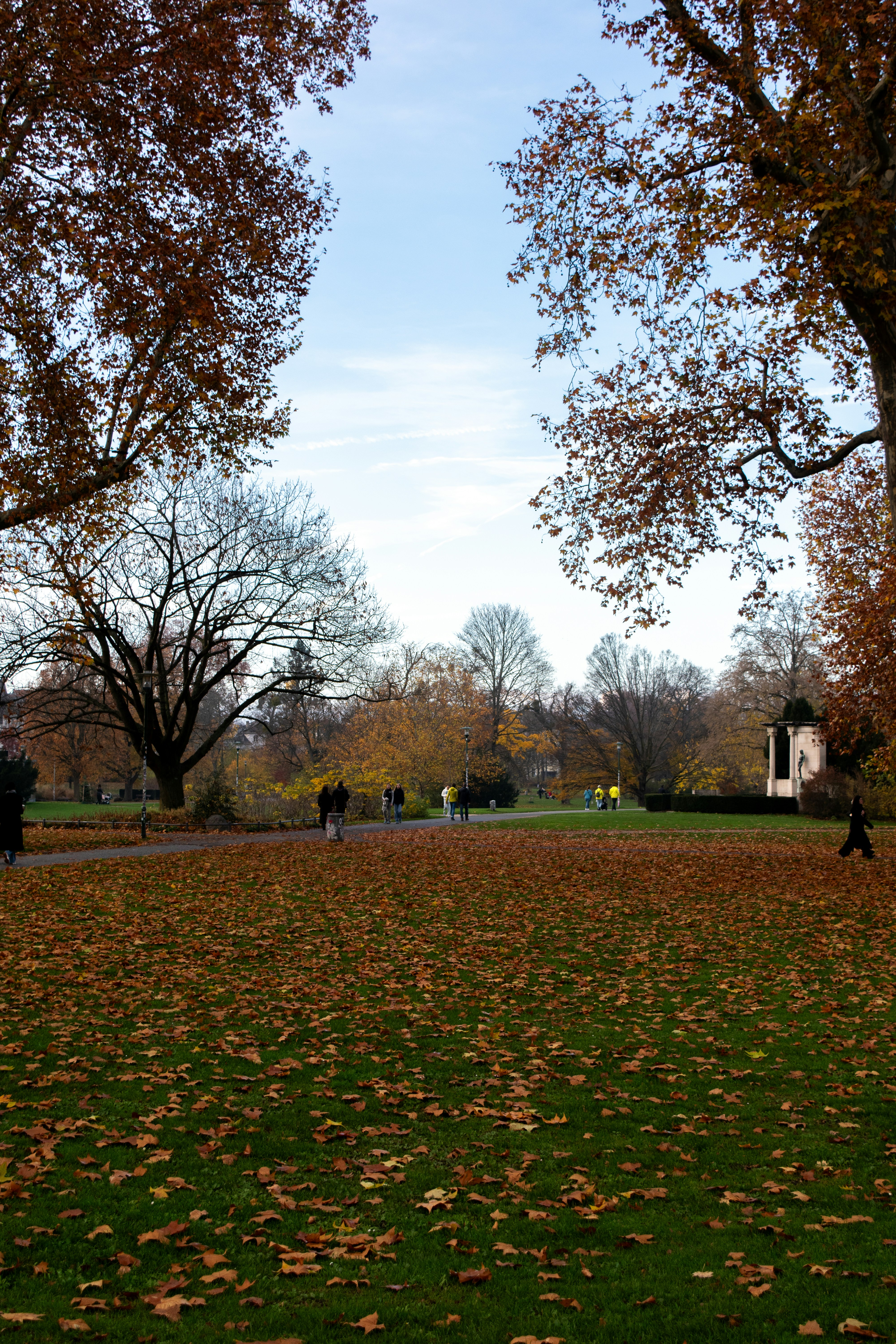 Photo by Ahmed Slimene with Nikon D3500