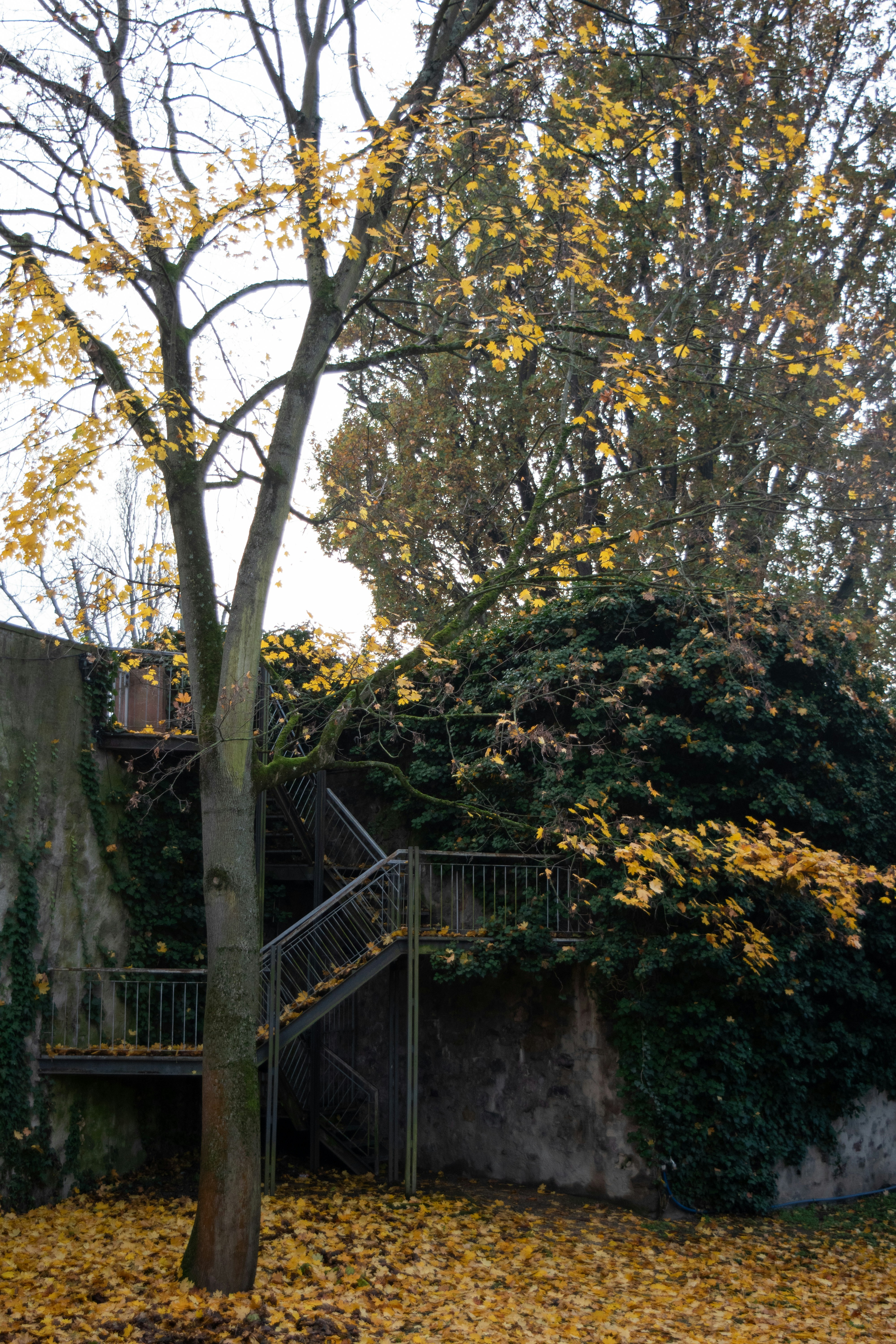 Photo by Ahmed Slimene with Nikon D3500