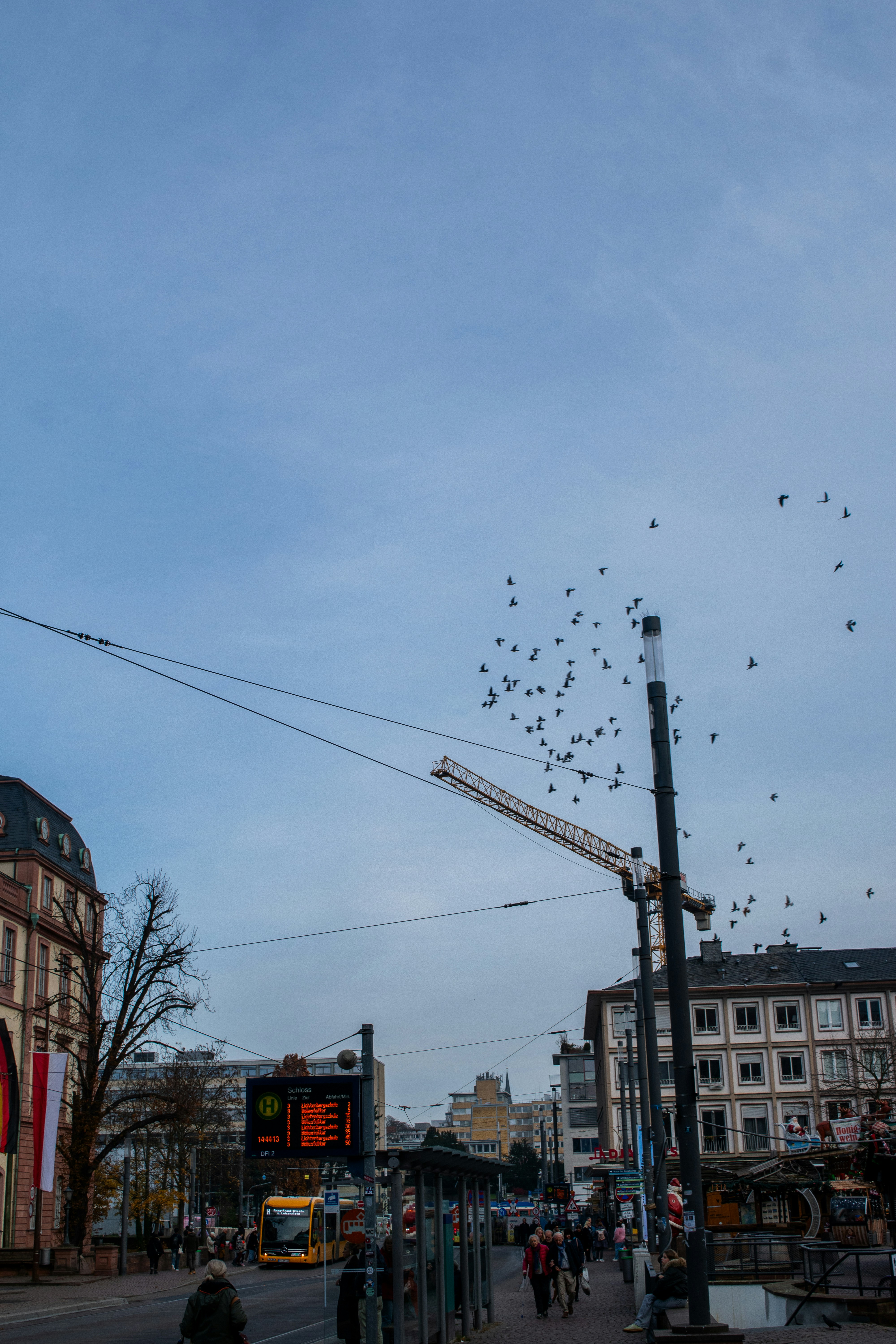Skyline Chorus Over a City Tram and Crane
