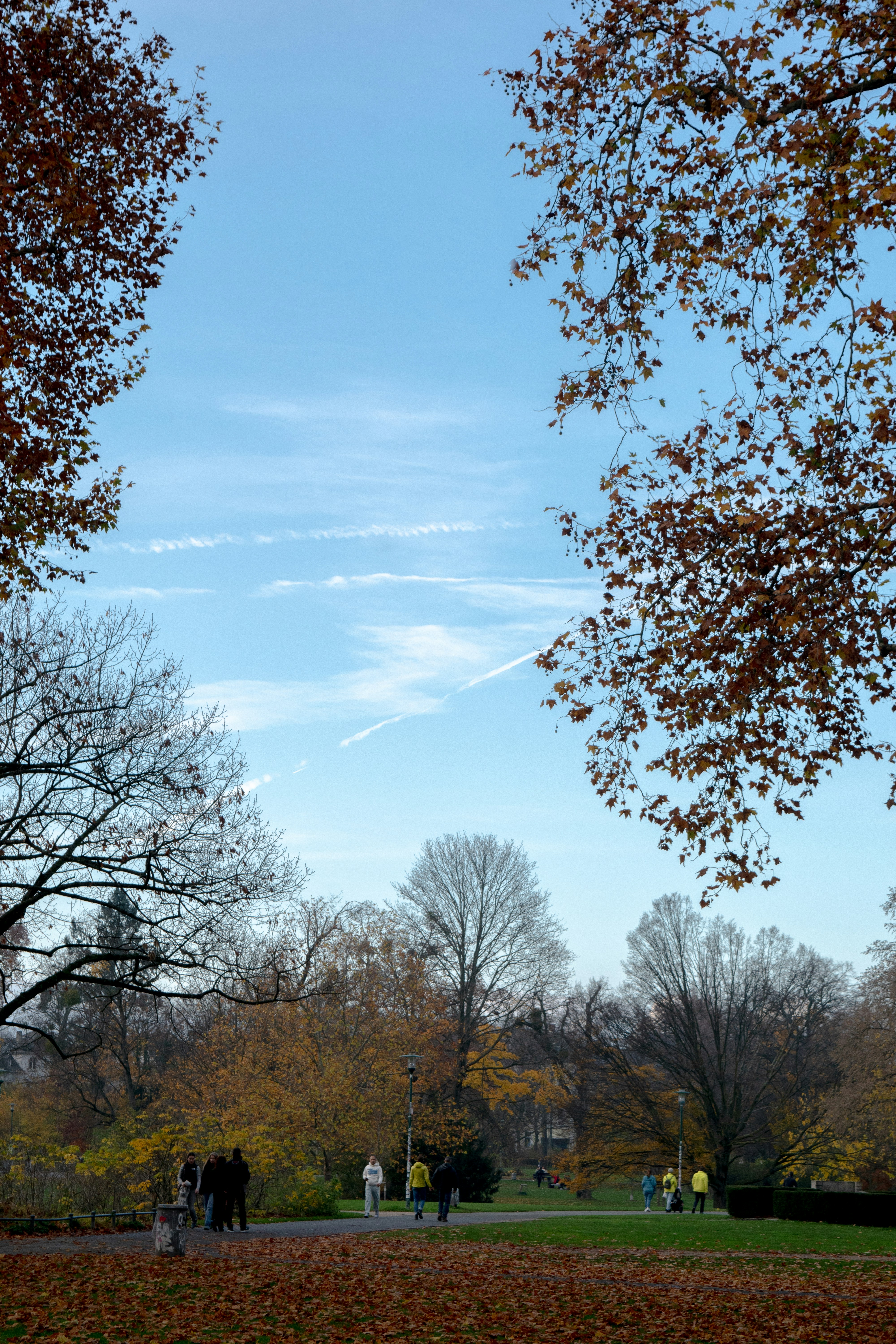Blue Sky Over Amber Avenues: A Park Stroll Through Autumn Light