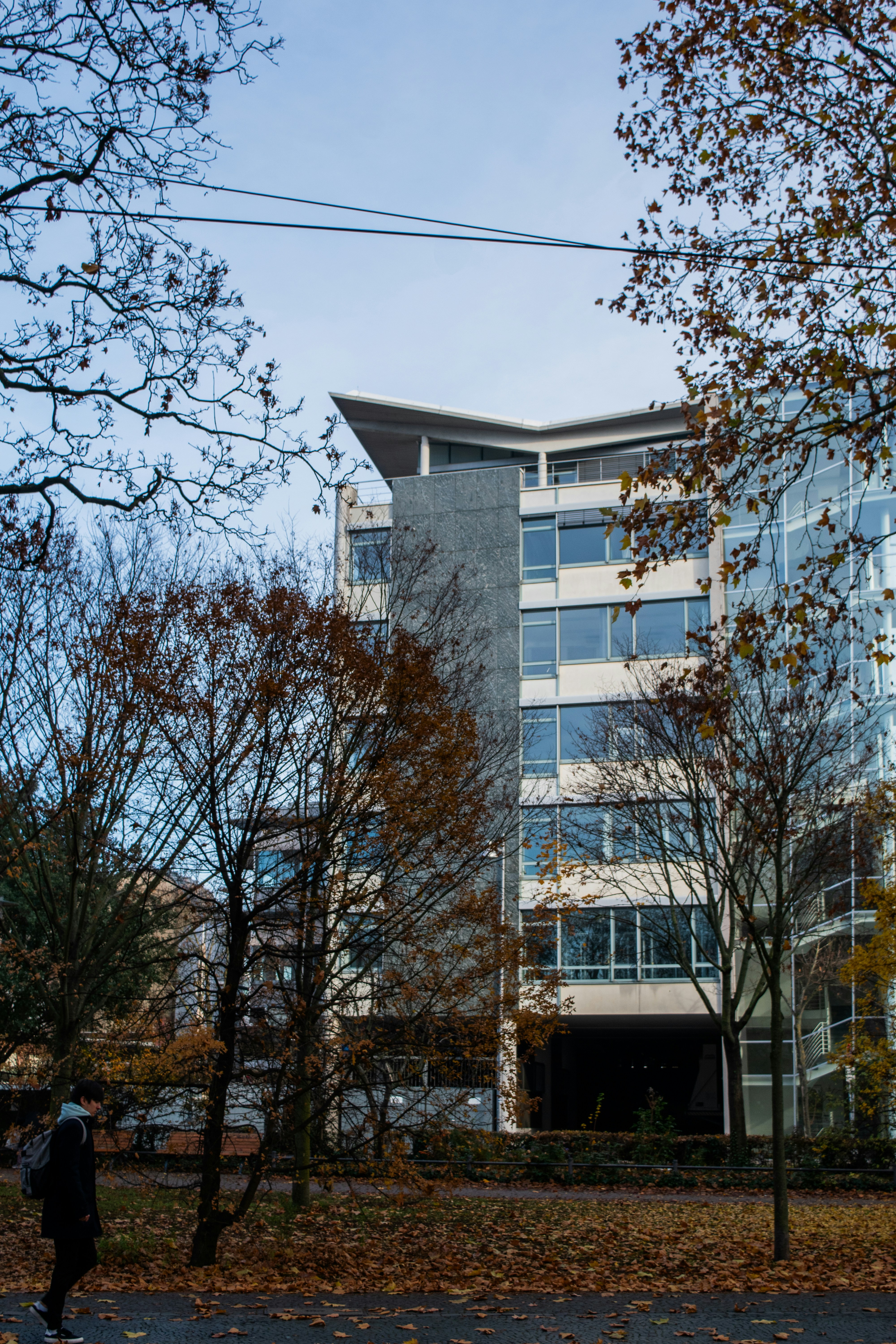 Photo by Ahmed Slimene with Nikon D3500