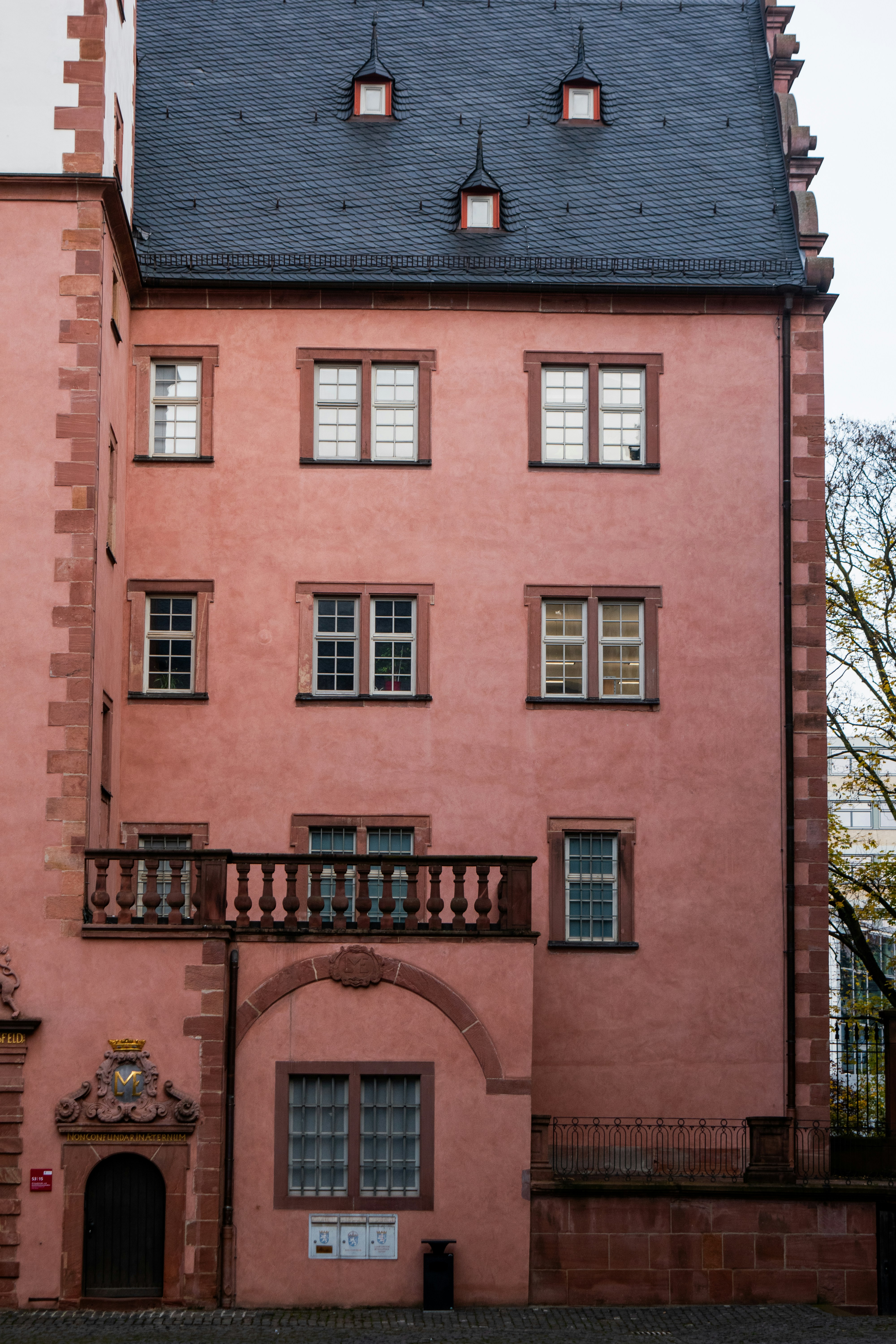 Photo by Ahmed Slimene with Nikon D3500