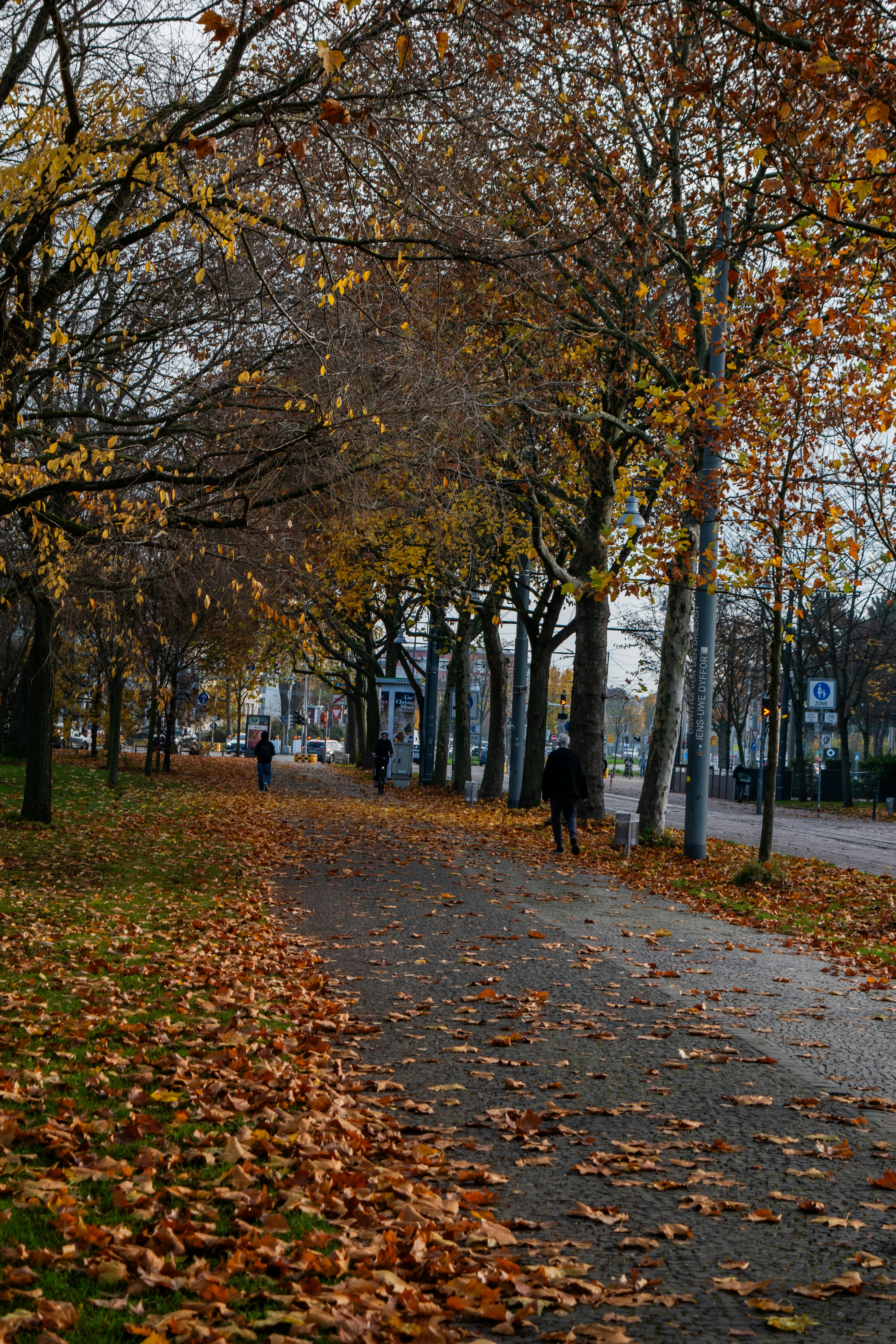 Photo by Ahmed Slimene with Nikon D3500