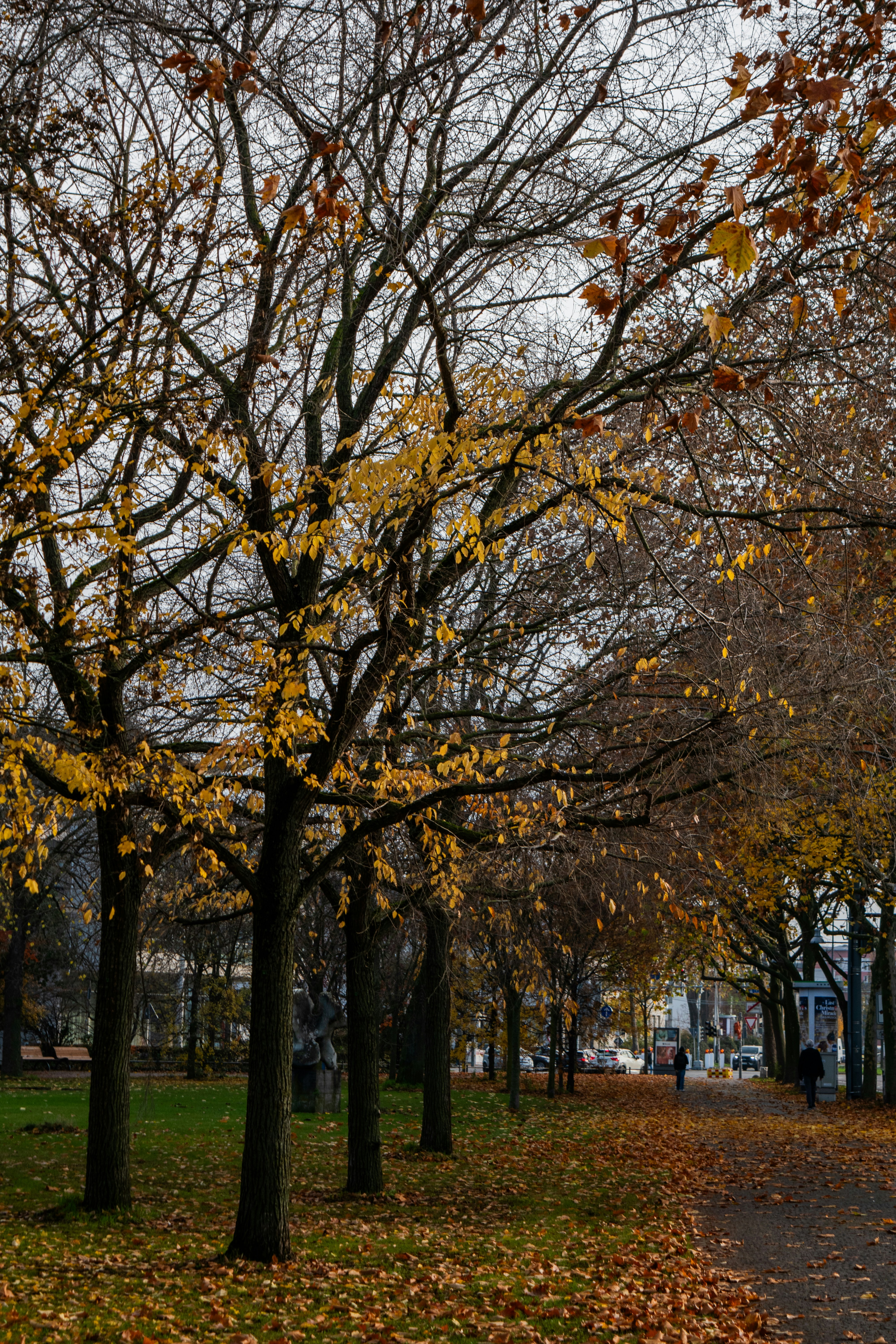 Photo by Ahmed Slimene with Nikon D3500