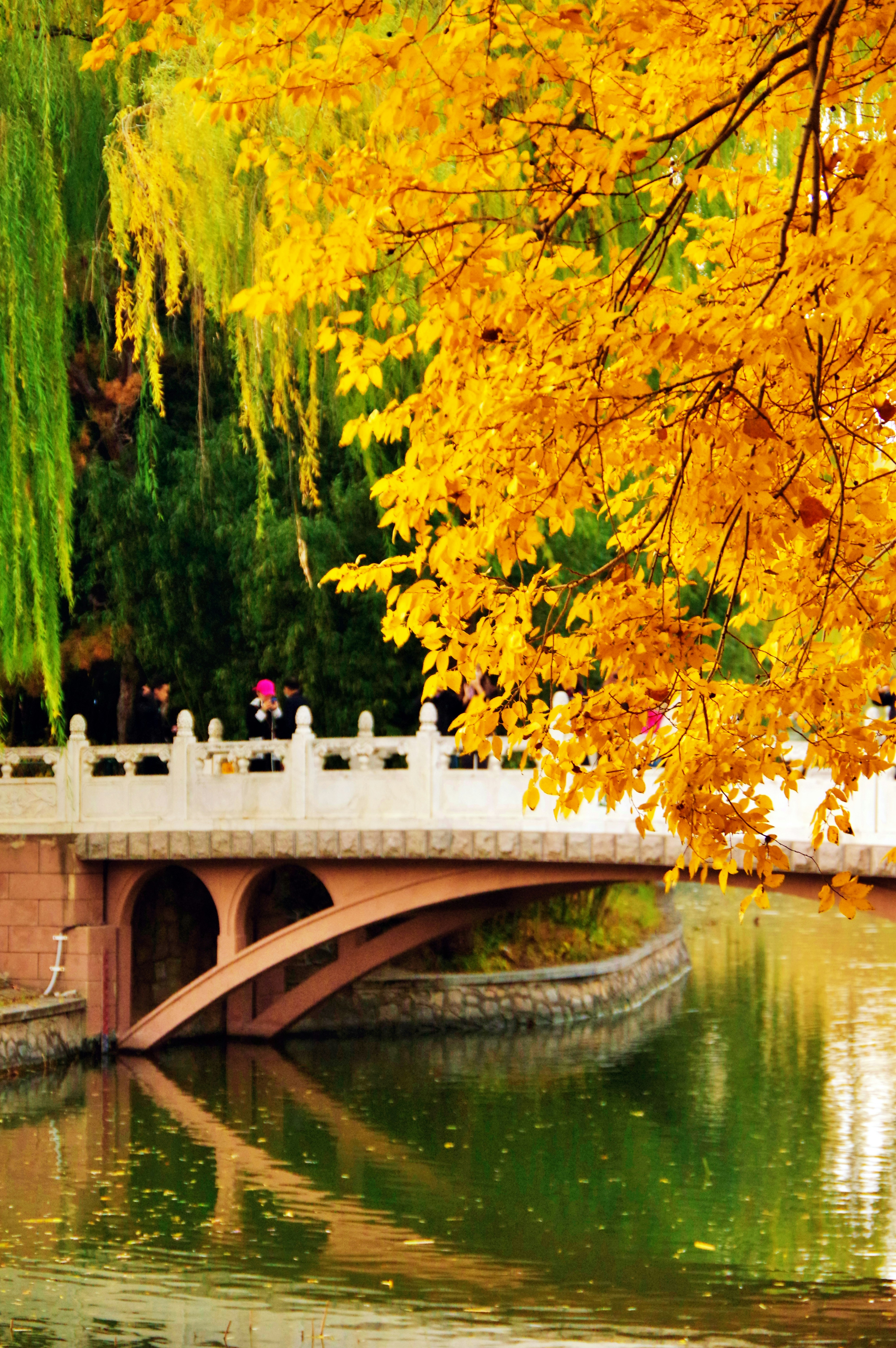 Photo by Chris DUNN with Pentax K-3