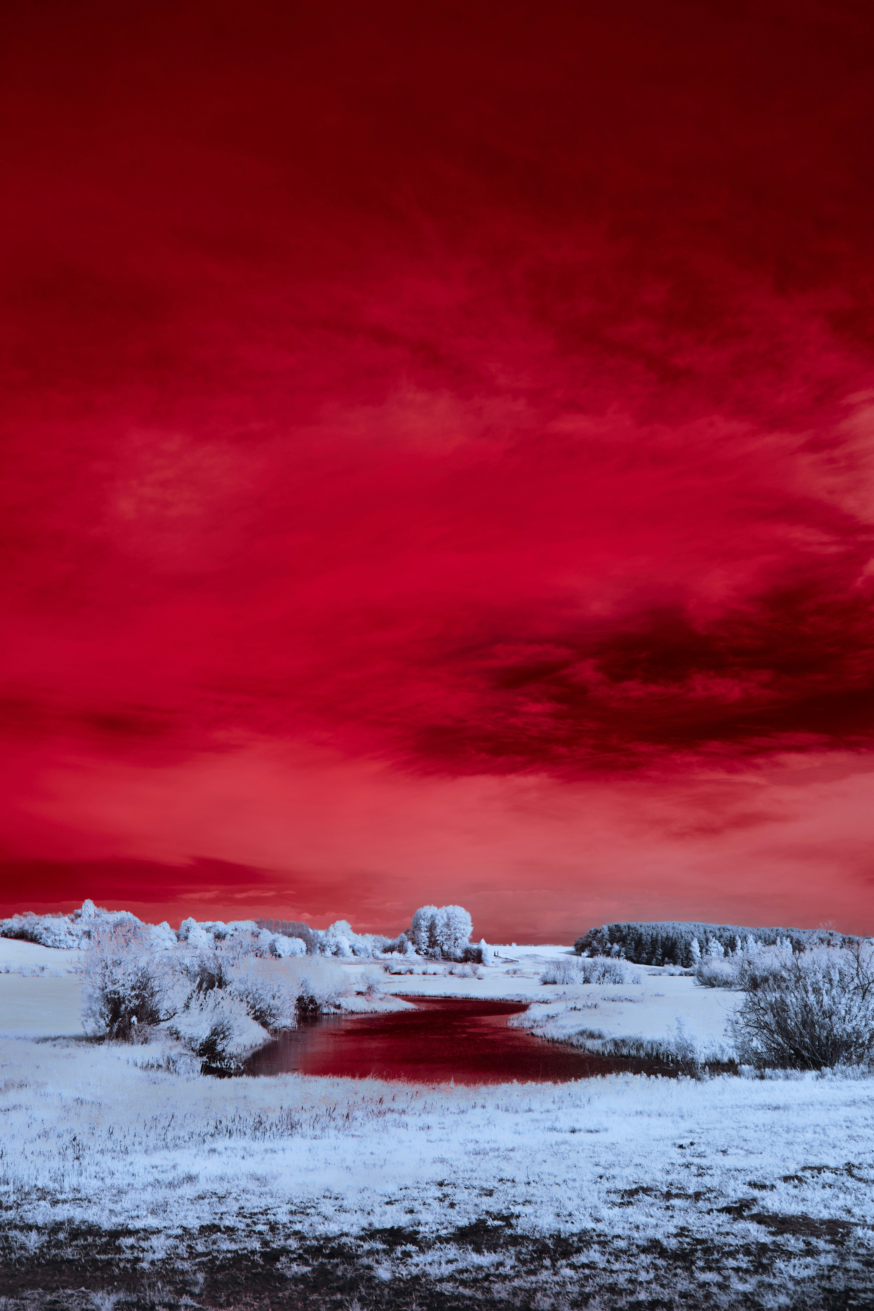 Photo by Wolfgang Hasselmann with Sony Alpha 7 IV