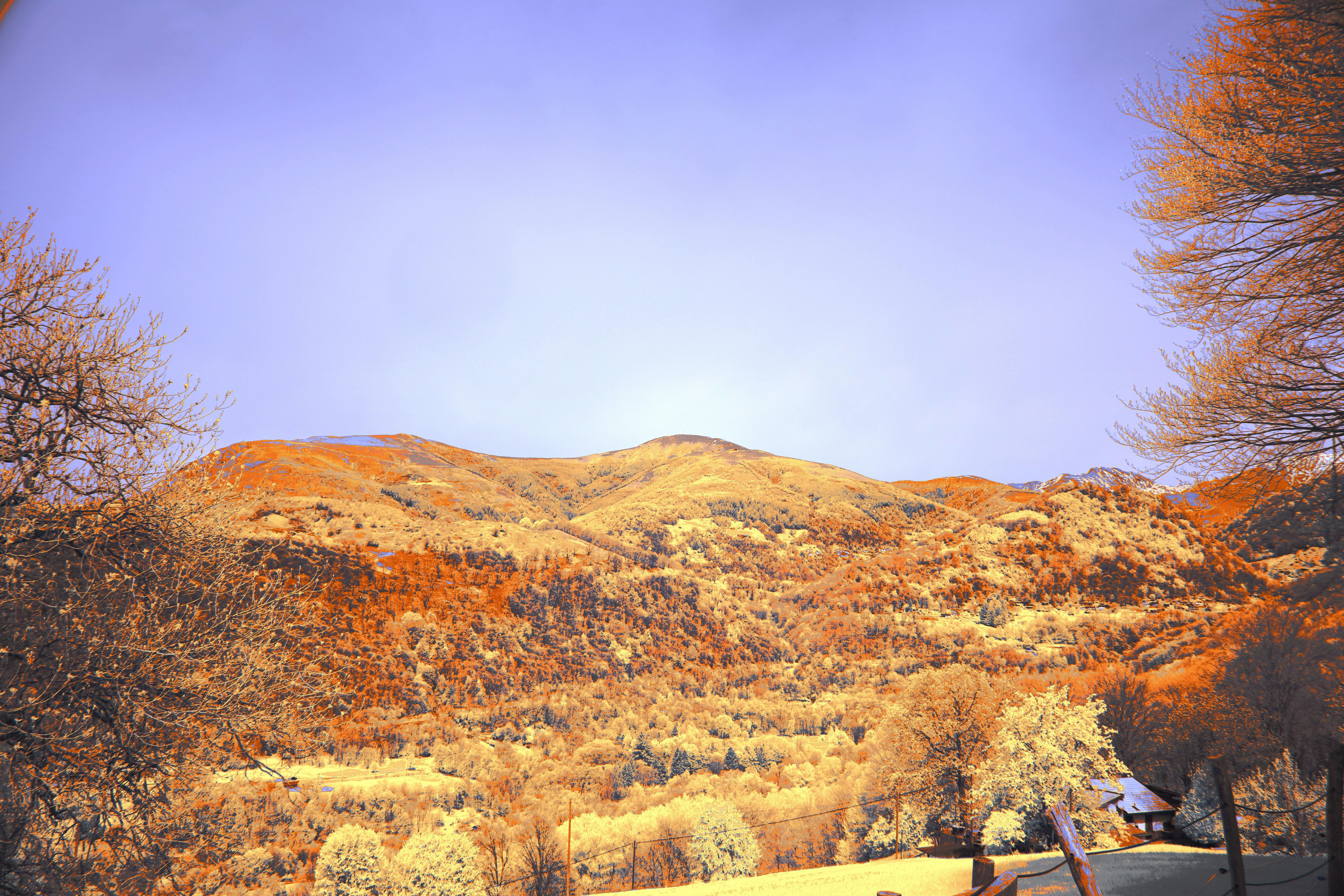 Photo by Wolfgang Hasselmann with Sony Alpha 7 IV