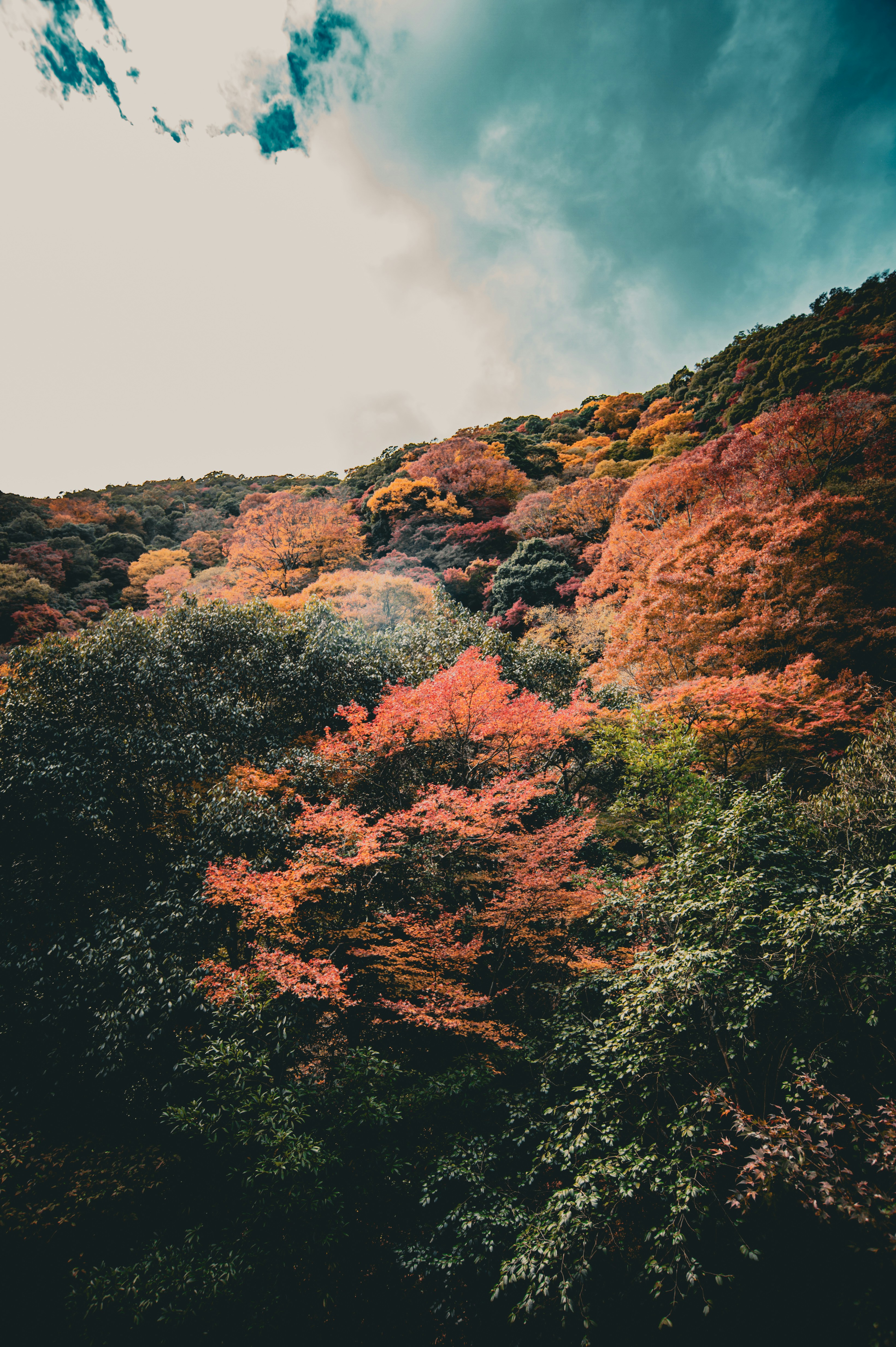 Photo by 5010 with Nikon Df