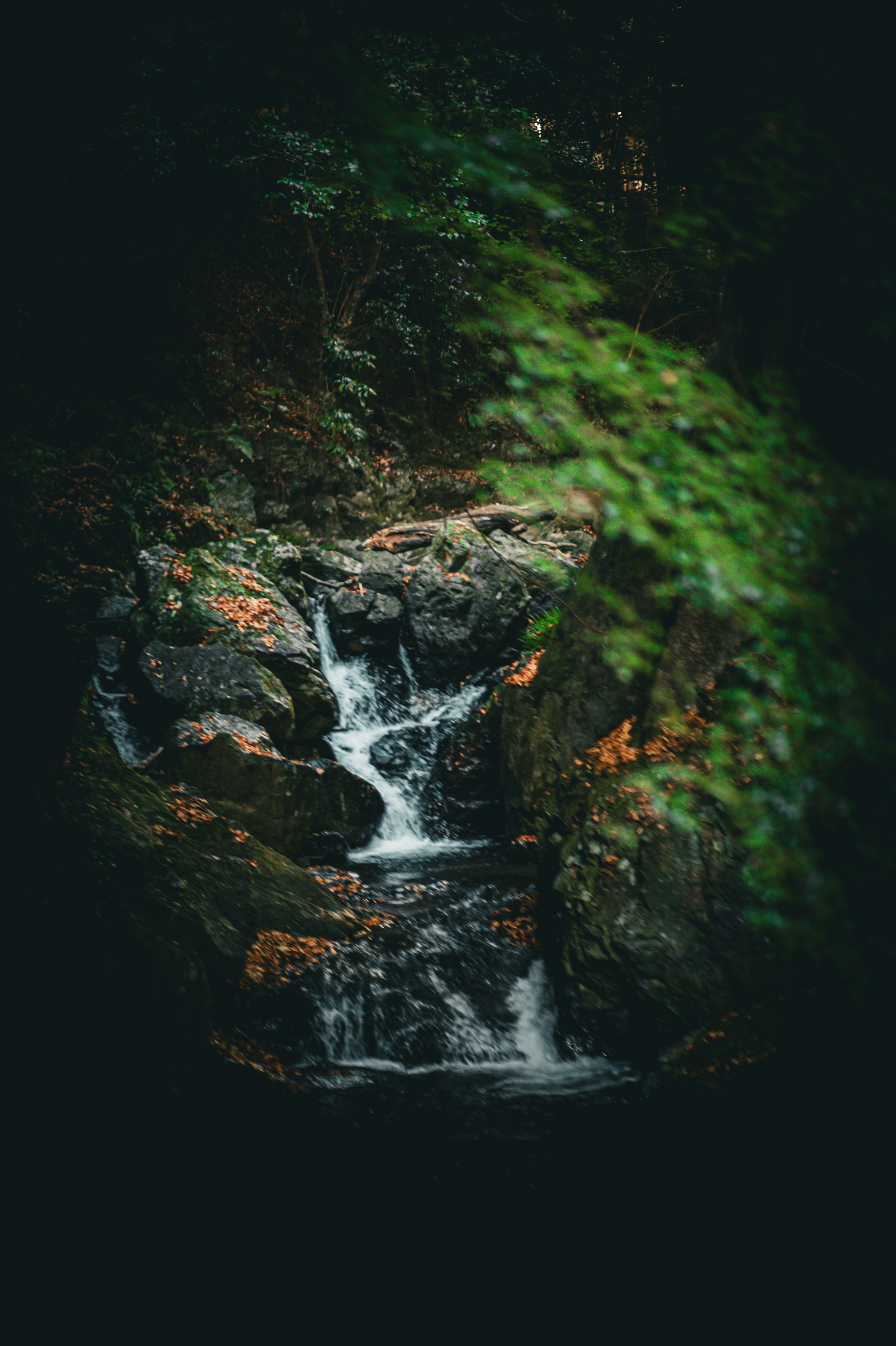 Cascade in the Shadowed Glen: Mossy Rocks and Quiet Light