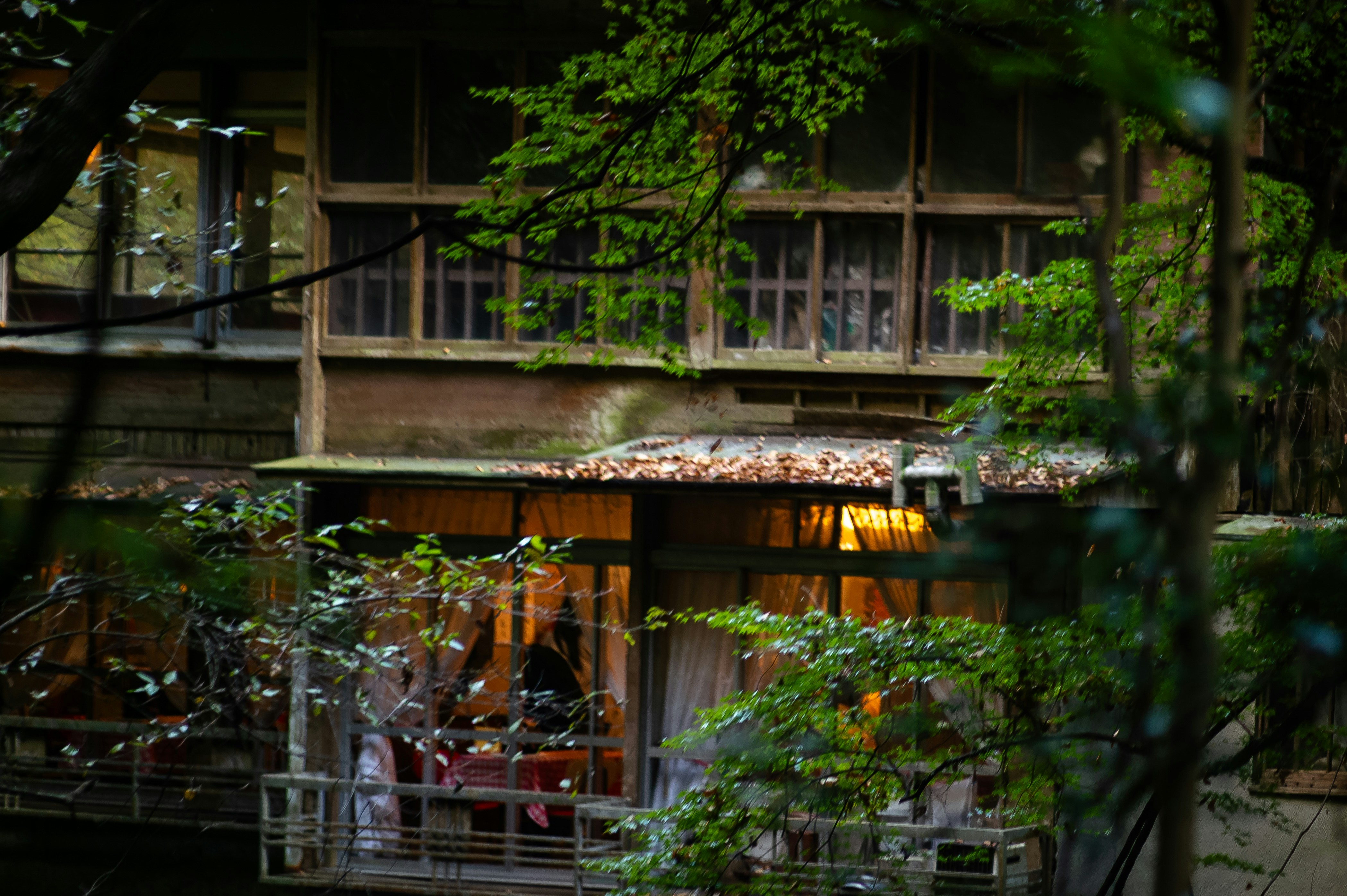 Twilight Veranda: Warm Life Through the Foliage