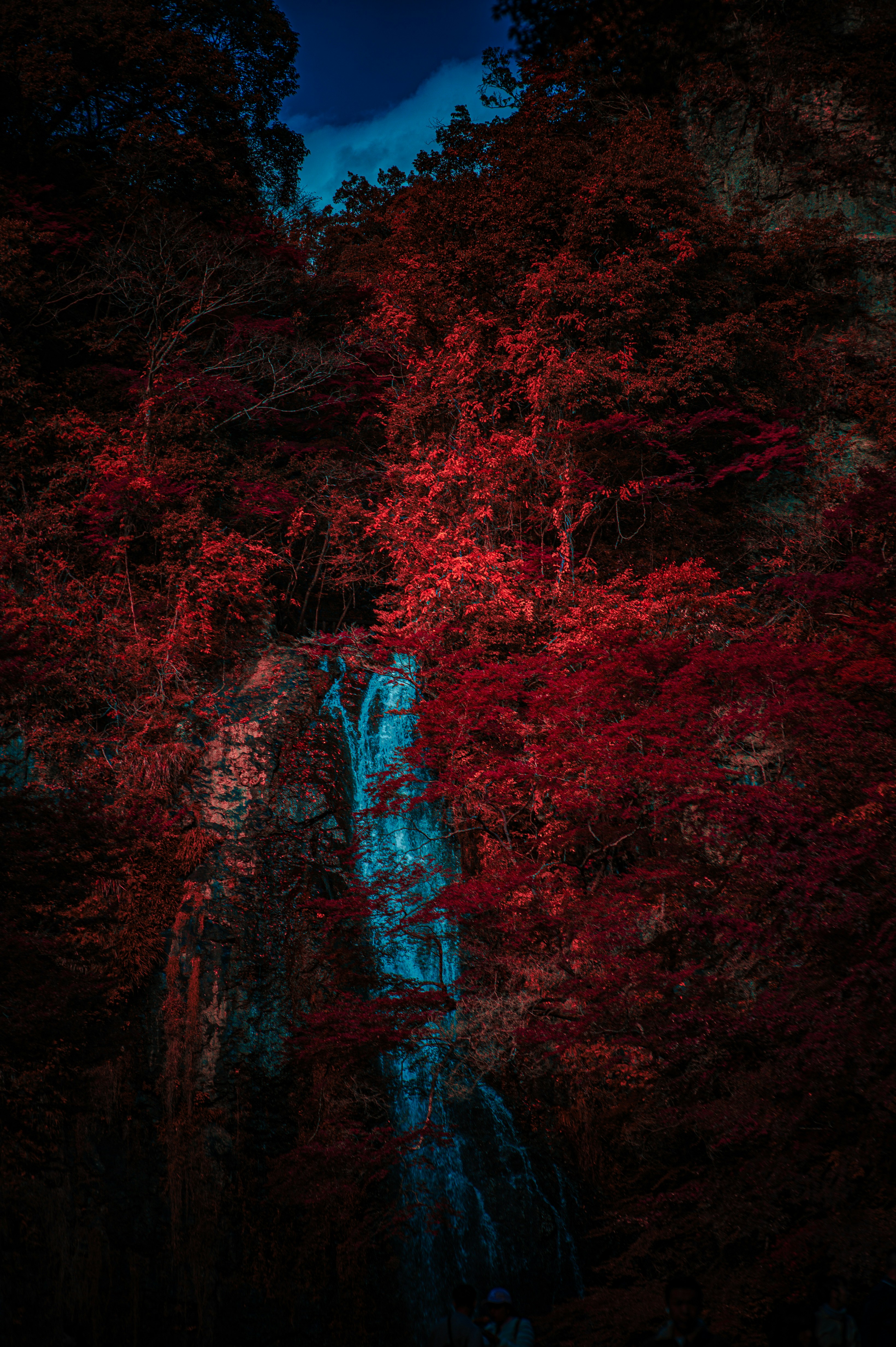 Crimson Canopy, Cerulean Cascade: A Hidden Waterfall in Twilight Woods