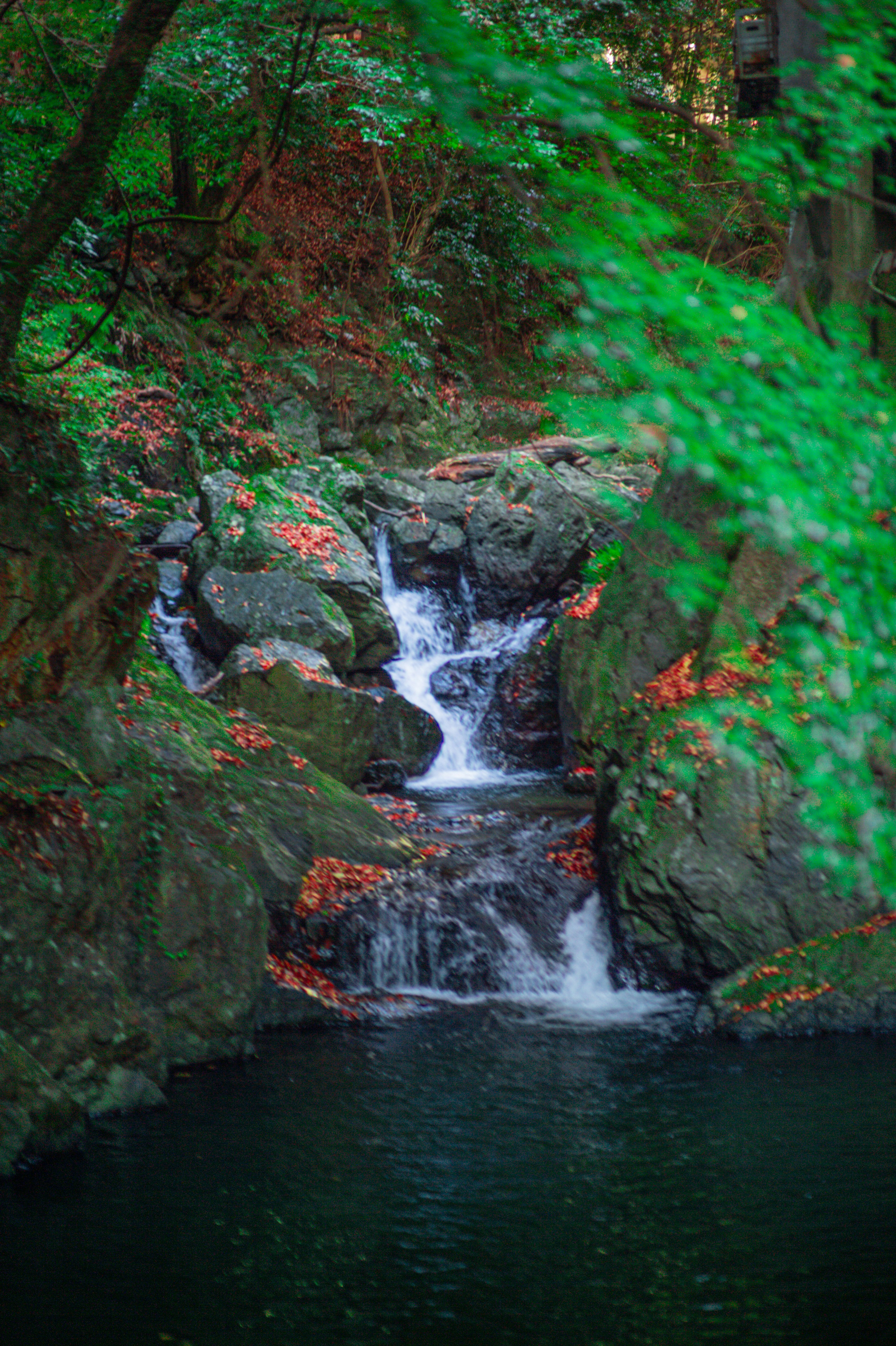 Emerald Cascade in a Moss-Kissed Gorge