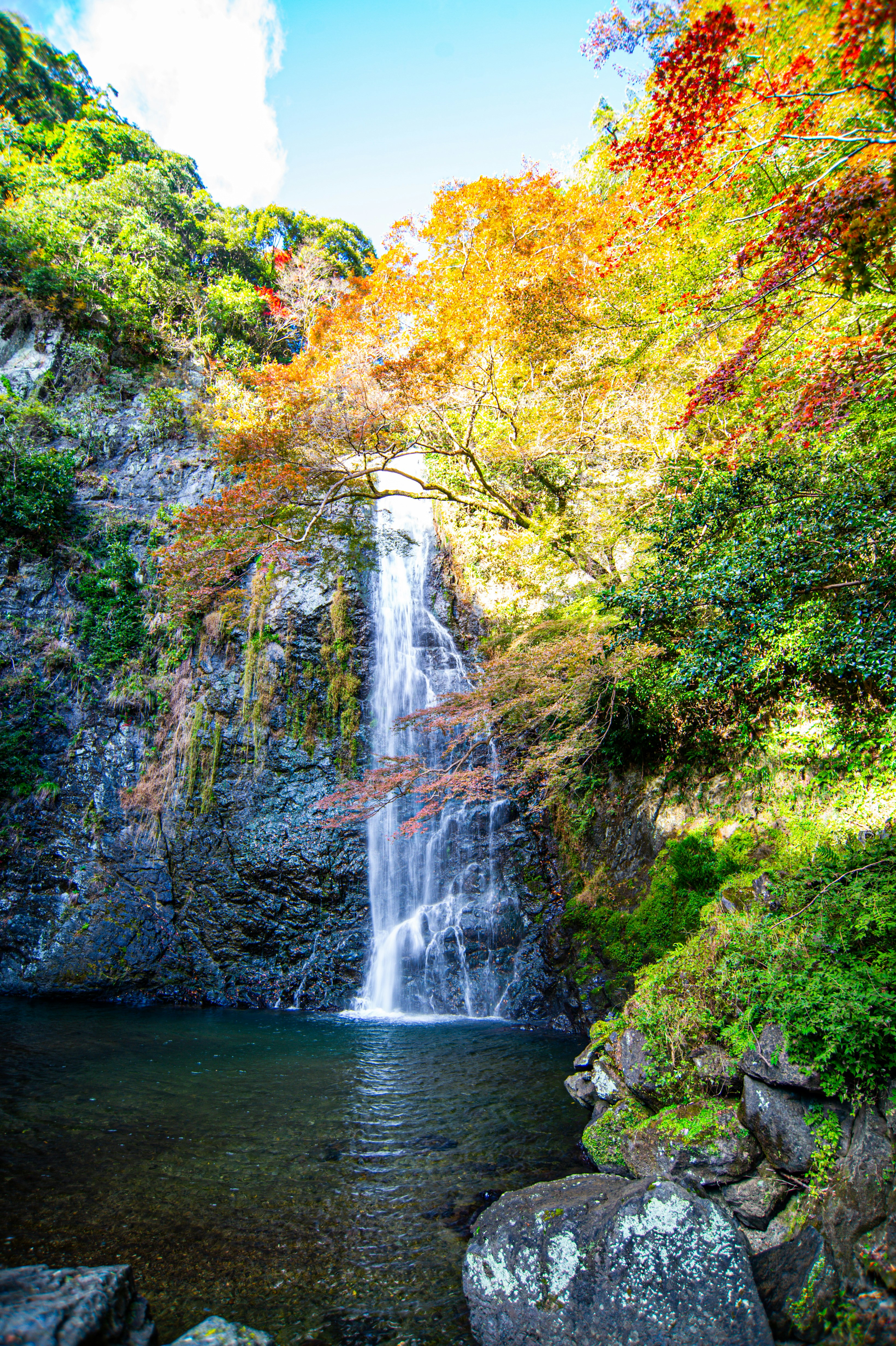 Autumn Cascade in a Sunlit Gorge