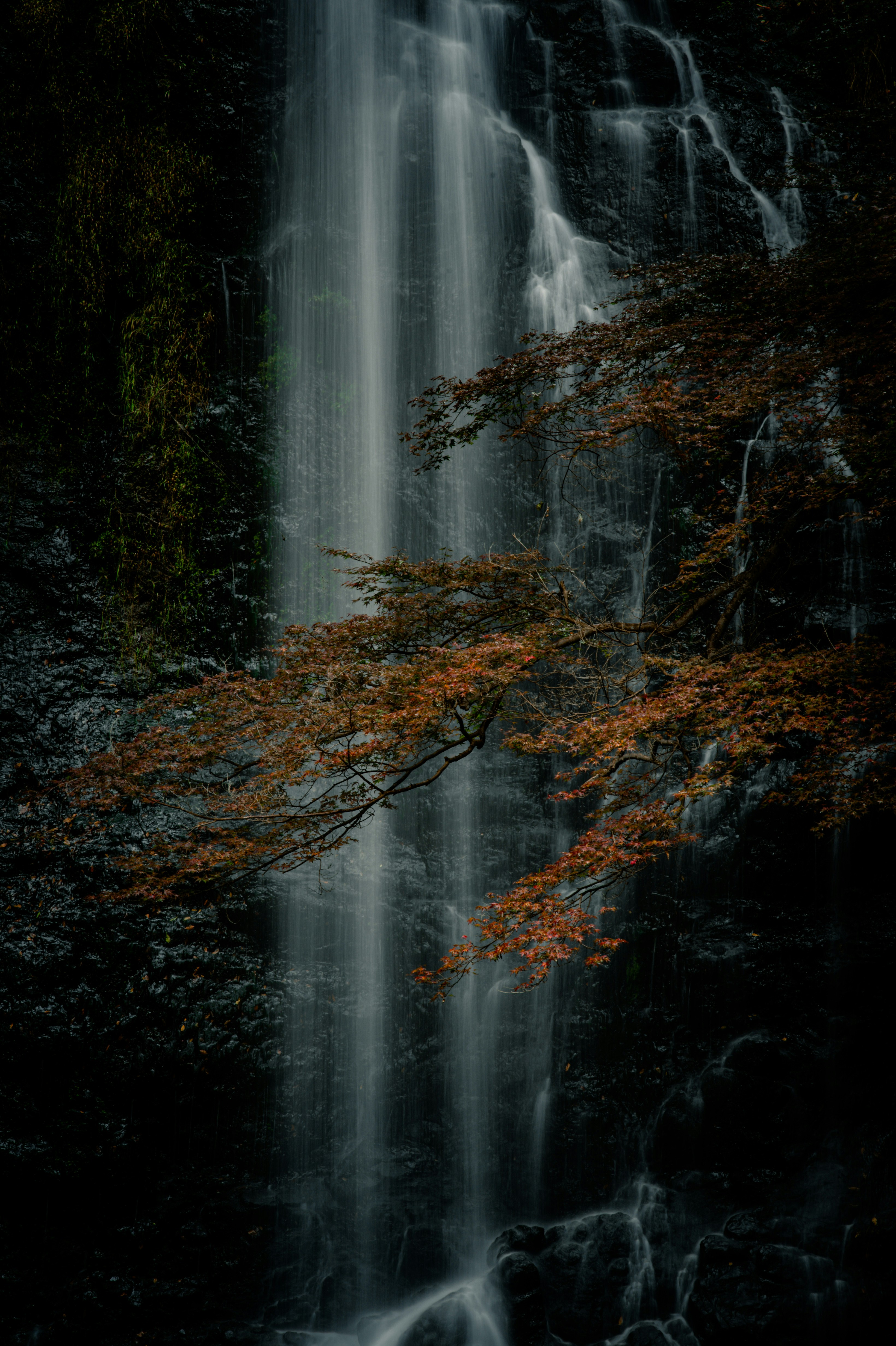 Ember Veil Cascade: Autumn Leaves Framing a Midnight Falls