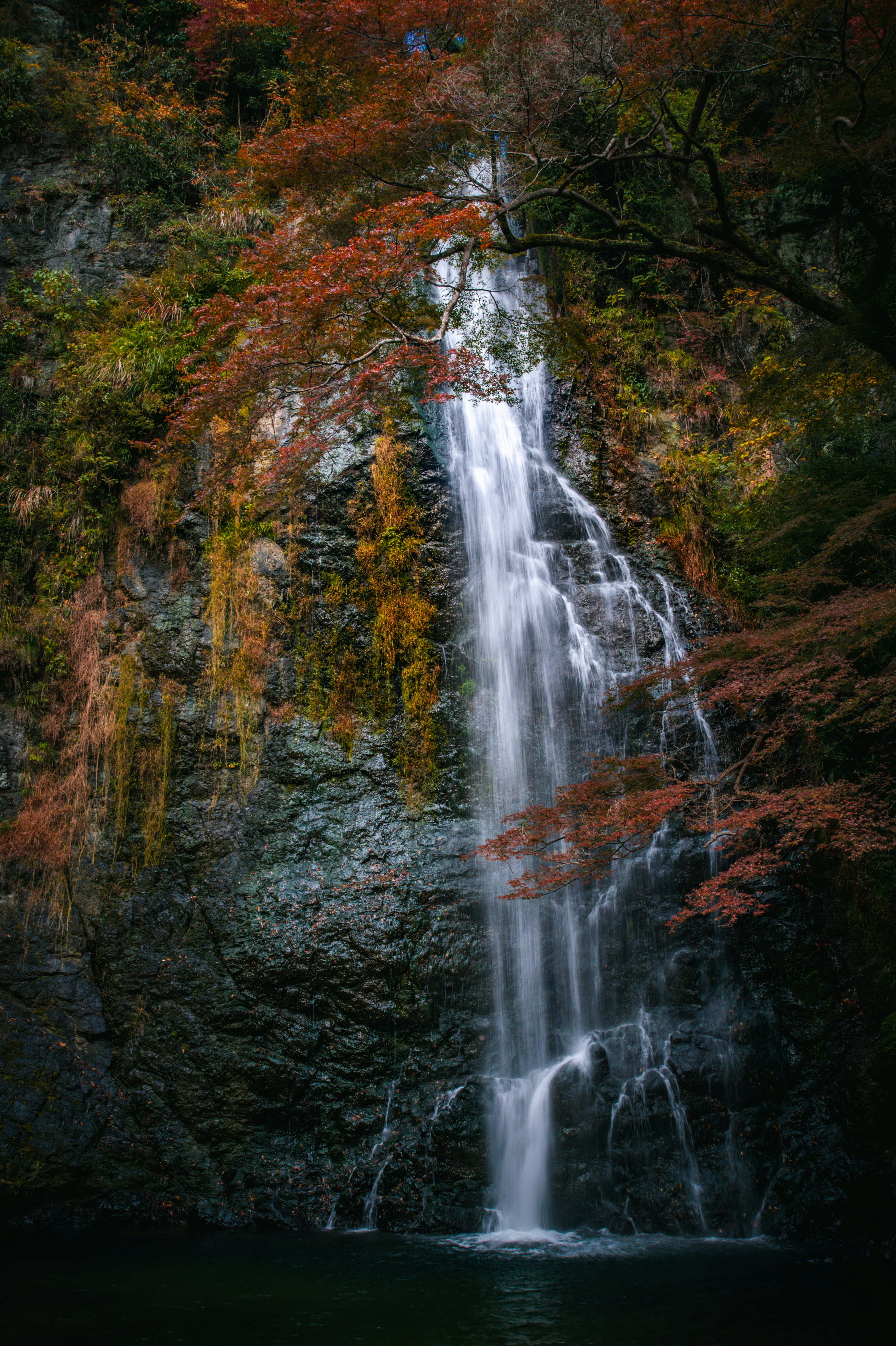 Crimson Veil over Mossy Cliff: An Autumn Waterfall
