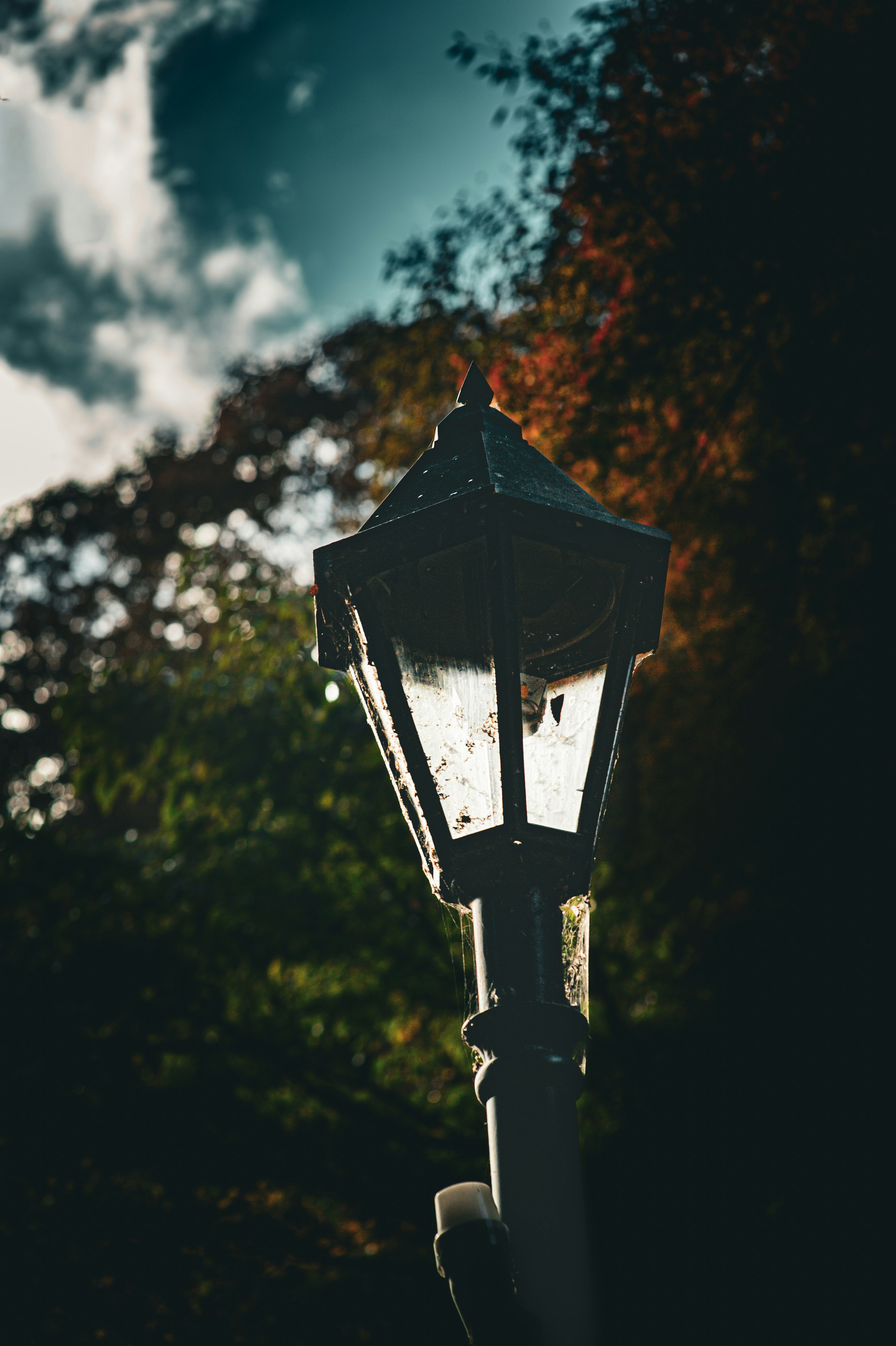 Weathered Lantern Amid Autumn Velvet