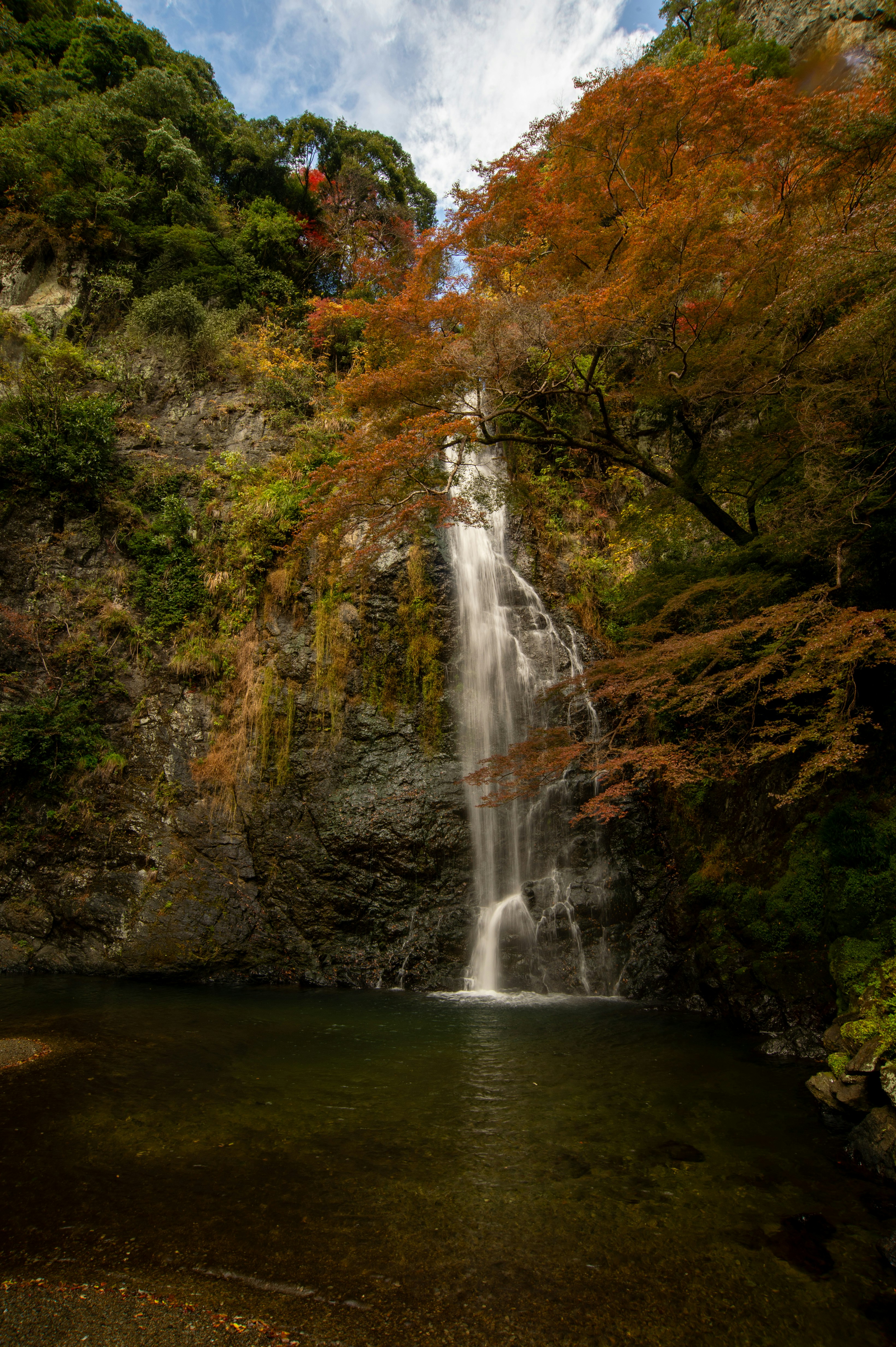 Autumn Cascade Framed by Fiery Canopy in a Narrow Canyon