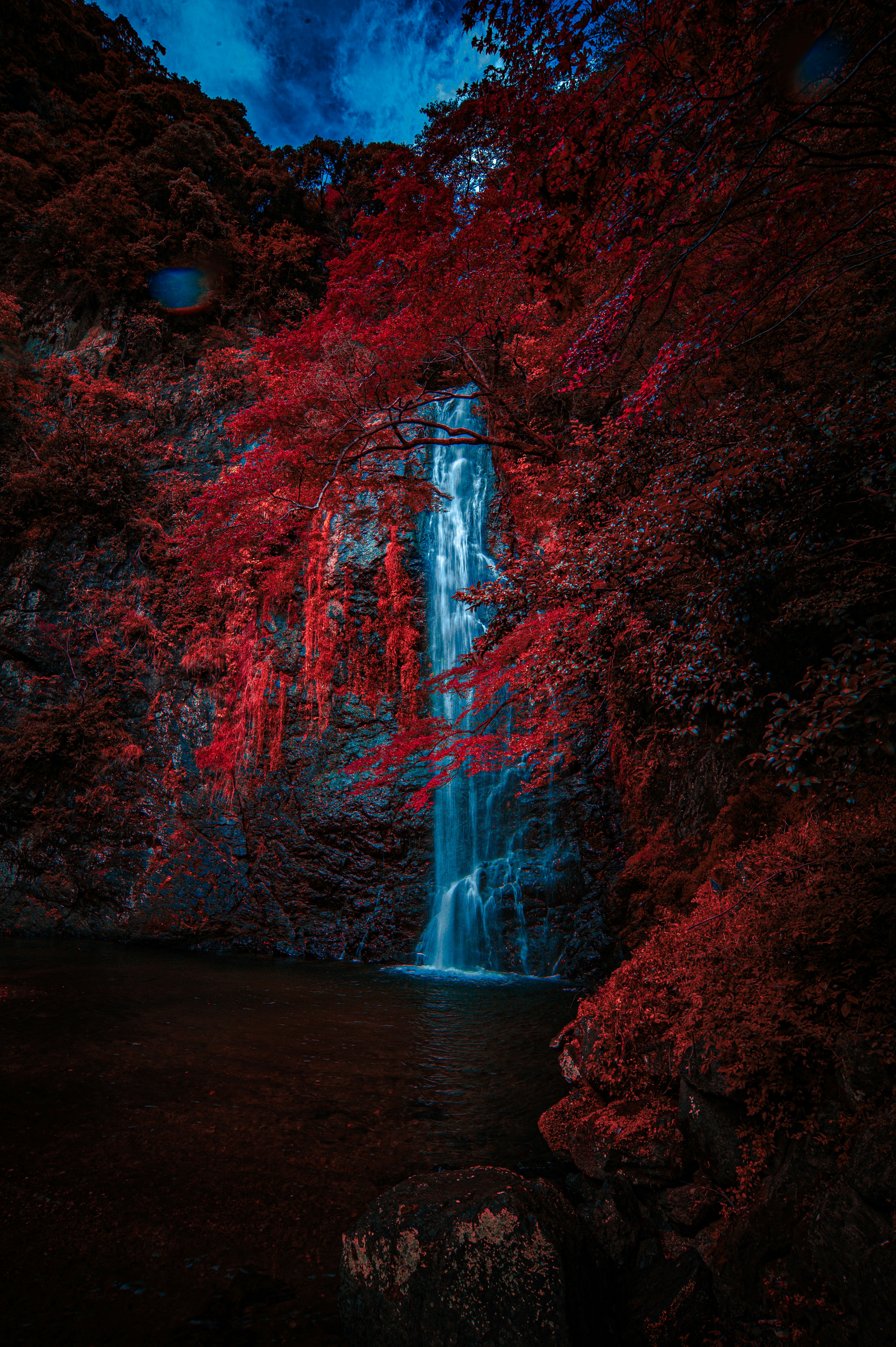 Azure Cascade Through a Crimson Forest